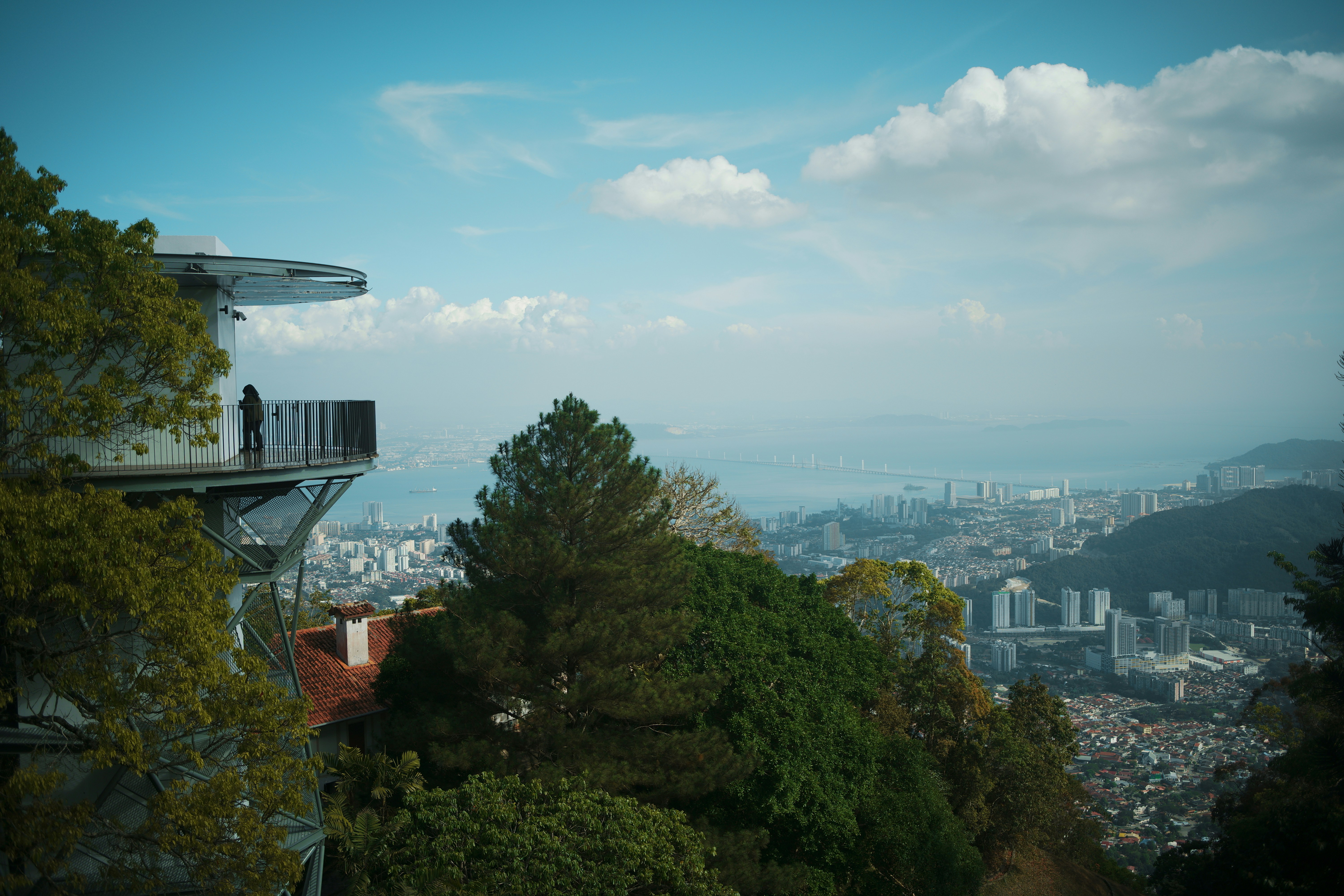 Horizon overlook: cityscape framed by hillside shelter