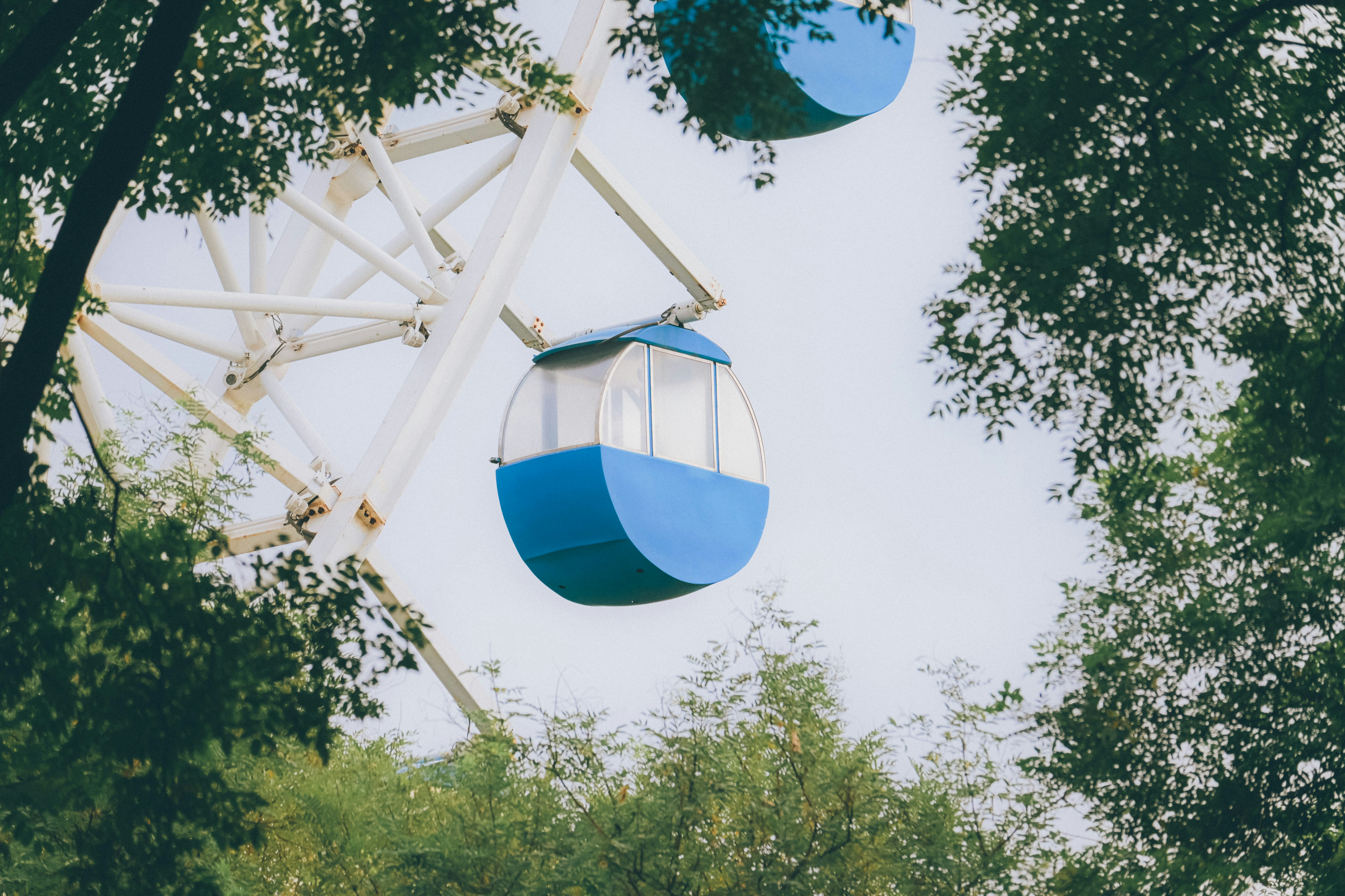 Blue gondolas drift above the treetops in a sunlit amusement park
