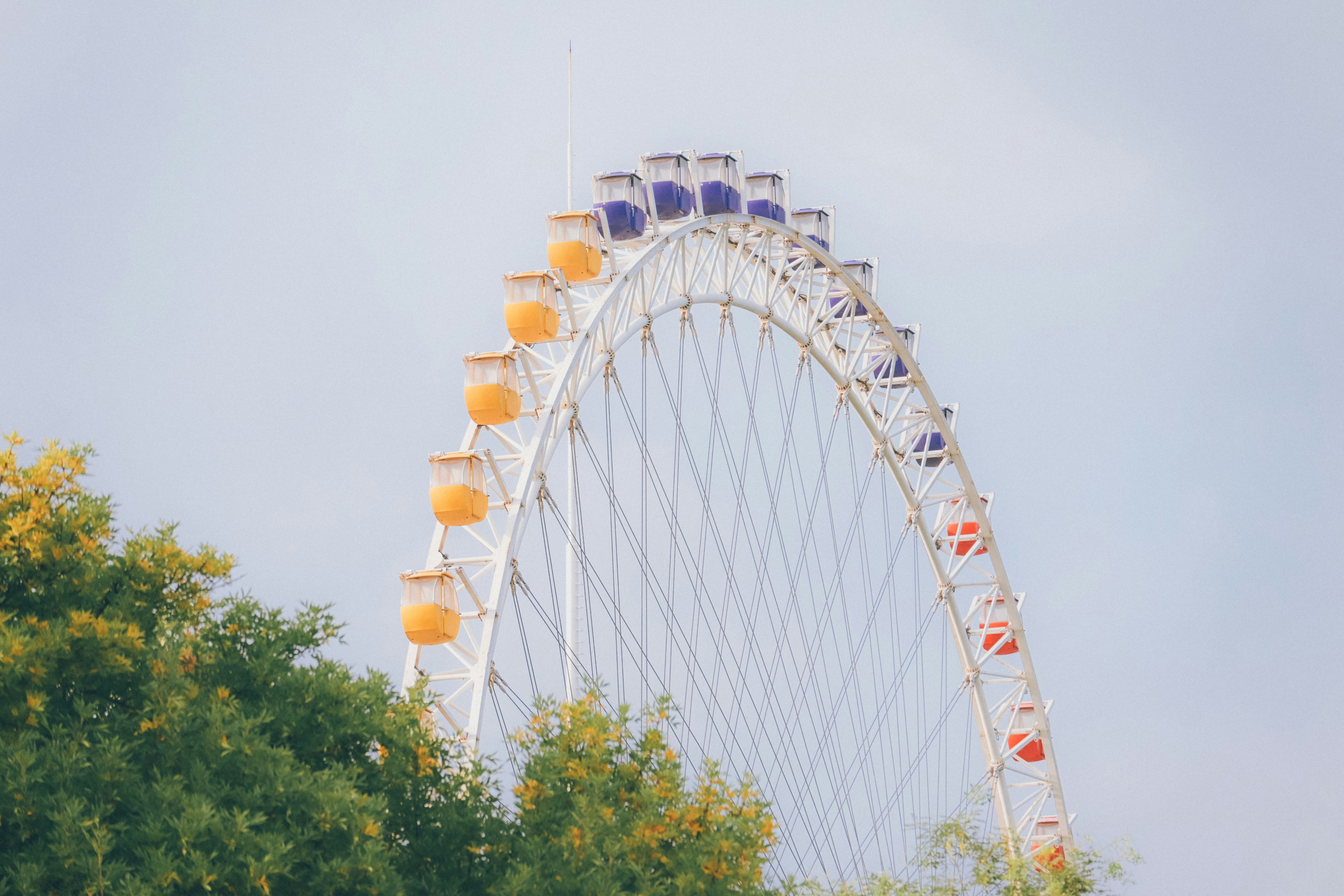 Ferris Wheel on a Soft Day near Treeline