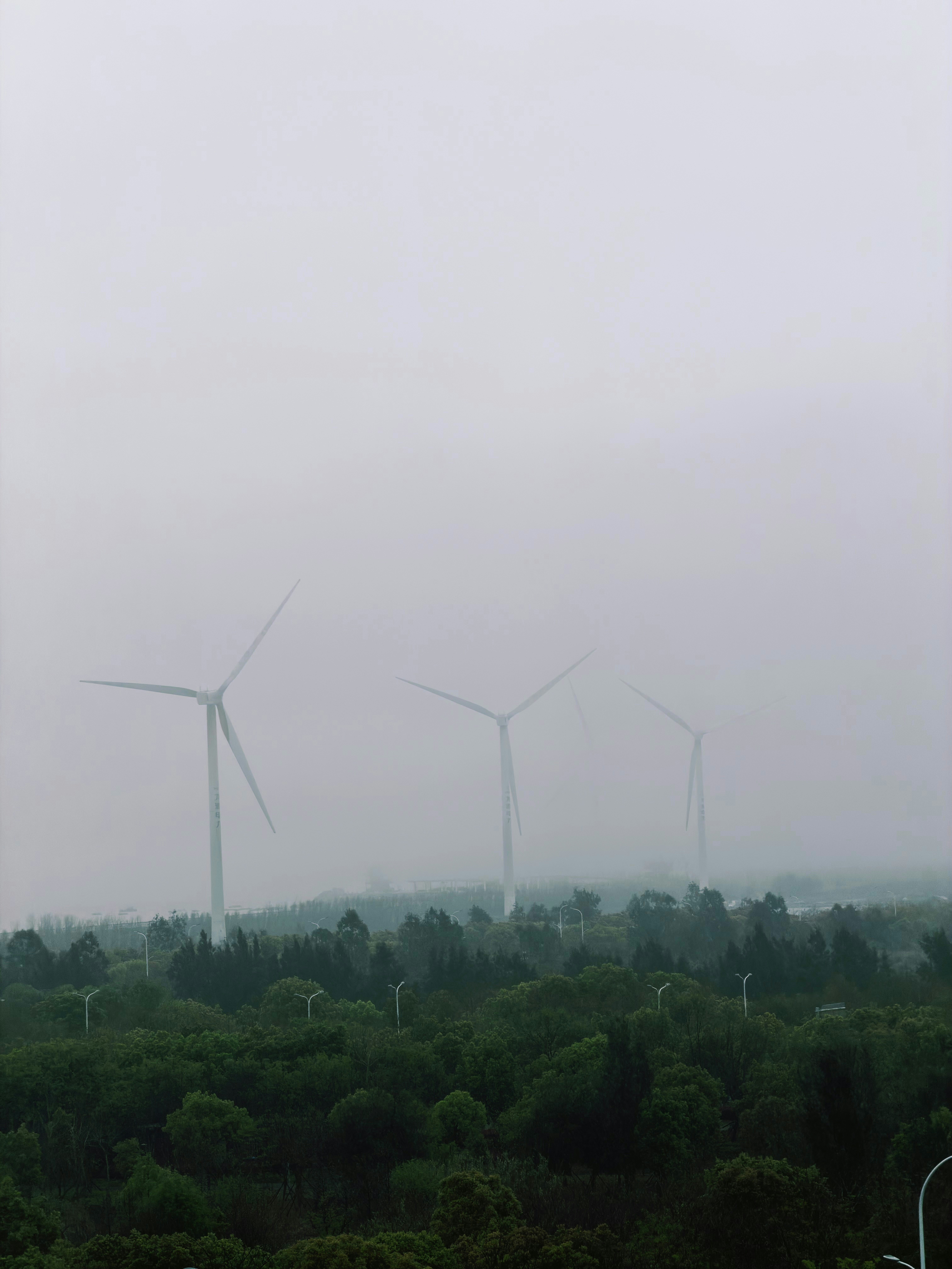 Whispering Giants: Wind Turbines Guard the Hazy Horizon