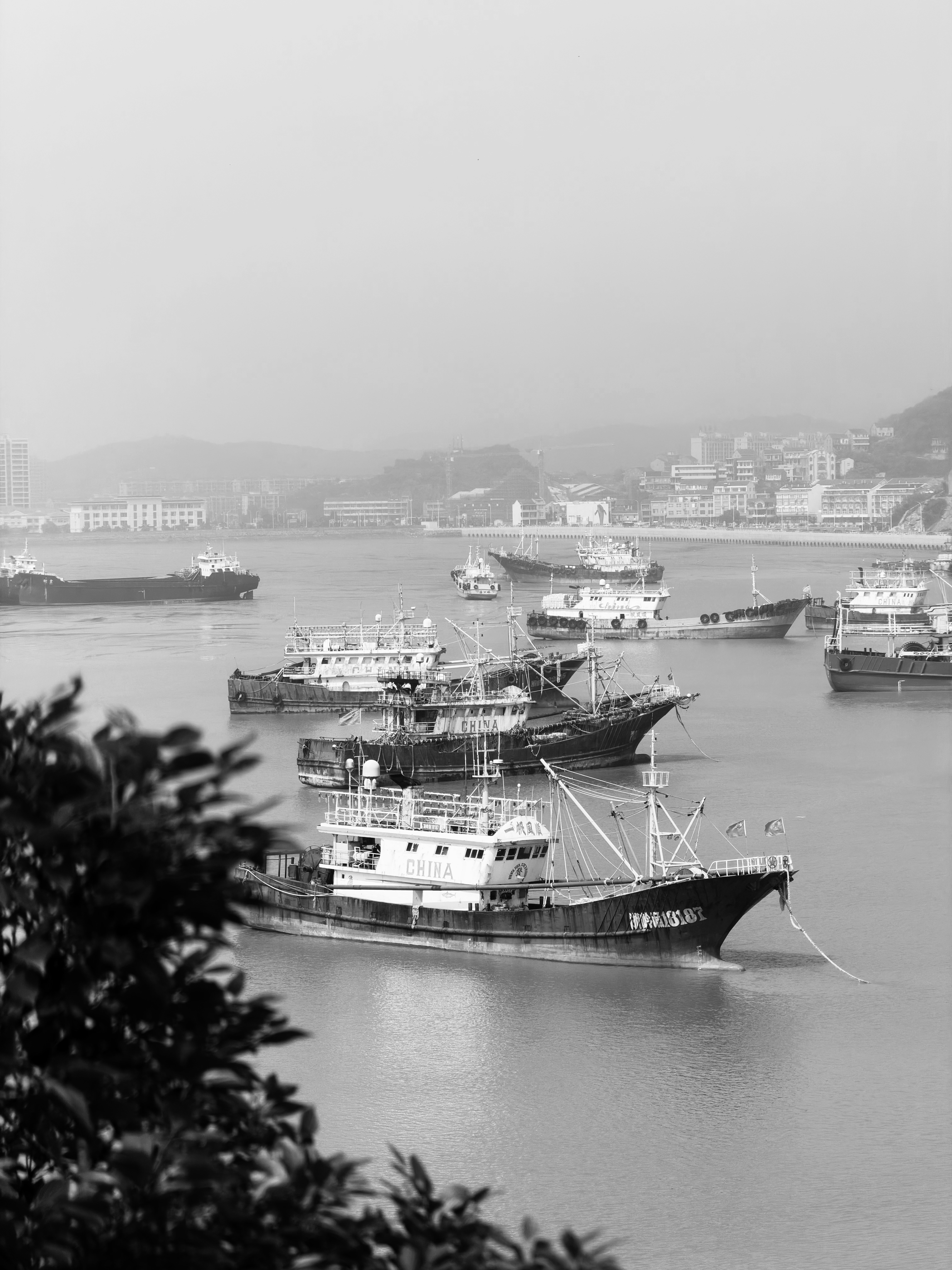 Harbor Fleet at Dusk: Boats resting on tranquil water