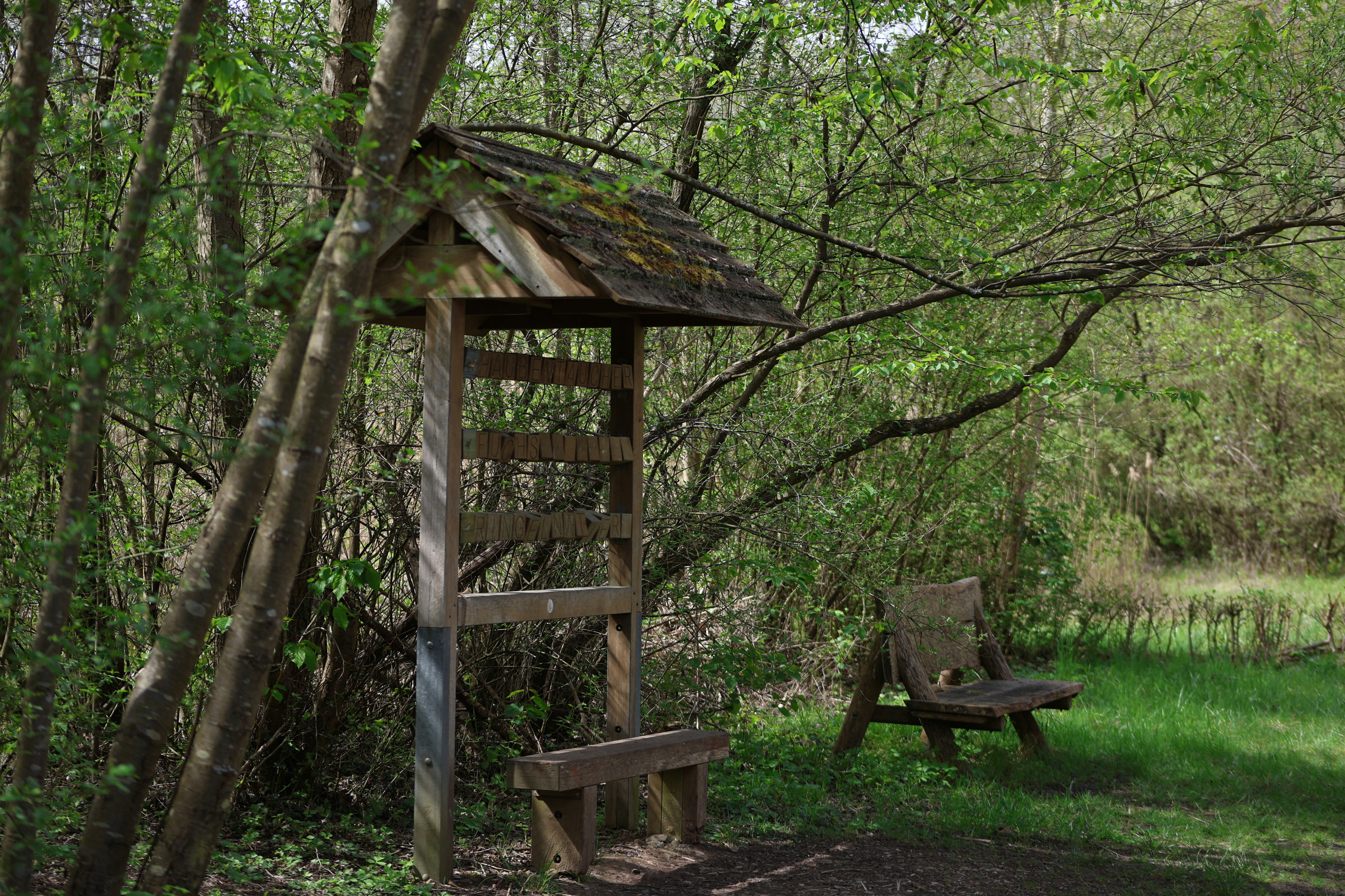 Wooden Shelter in a Quiet Woodland Clearing