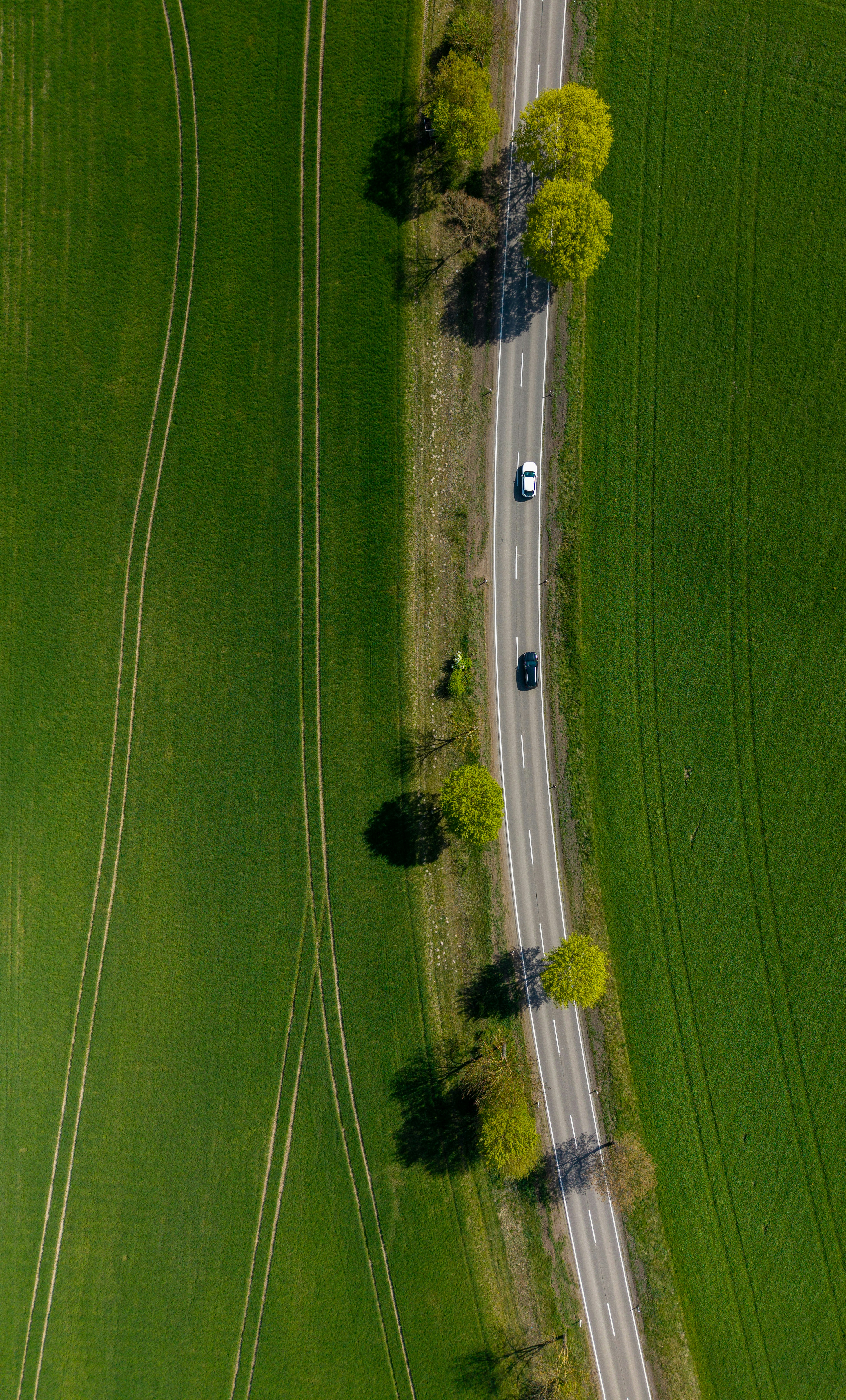 A Quiet Road Distantly Winding Through Emerald Fields