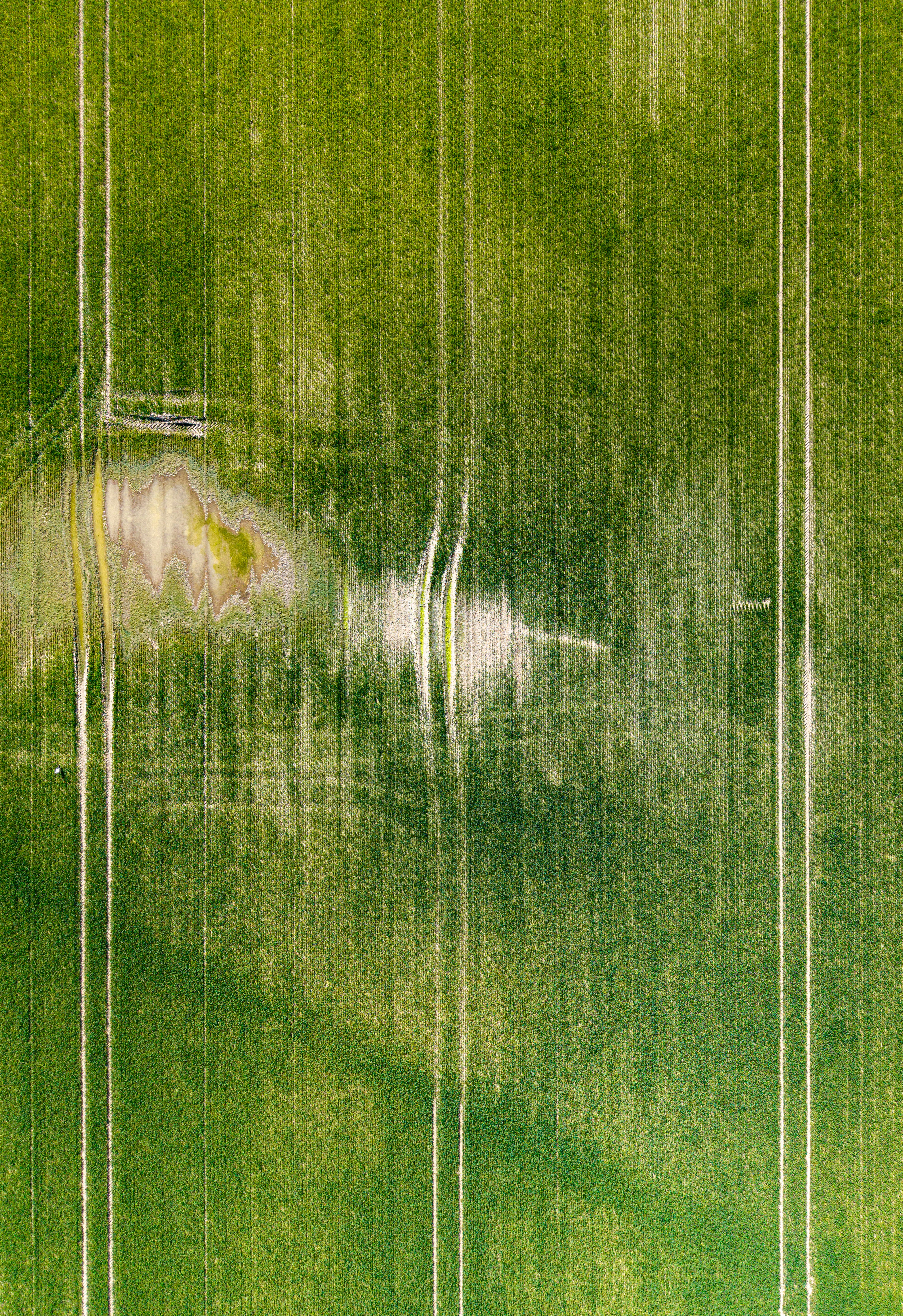 Striated Green Fields: An Aerial Stride Through Parallel Lines
