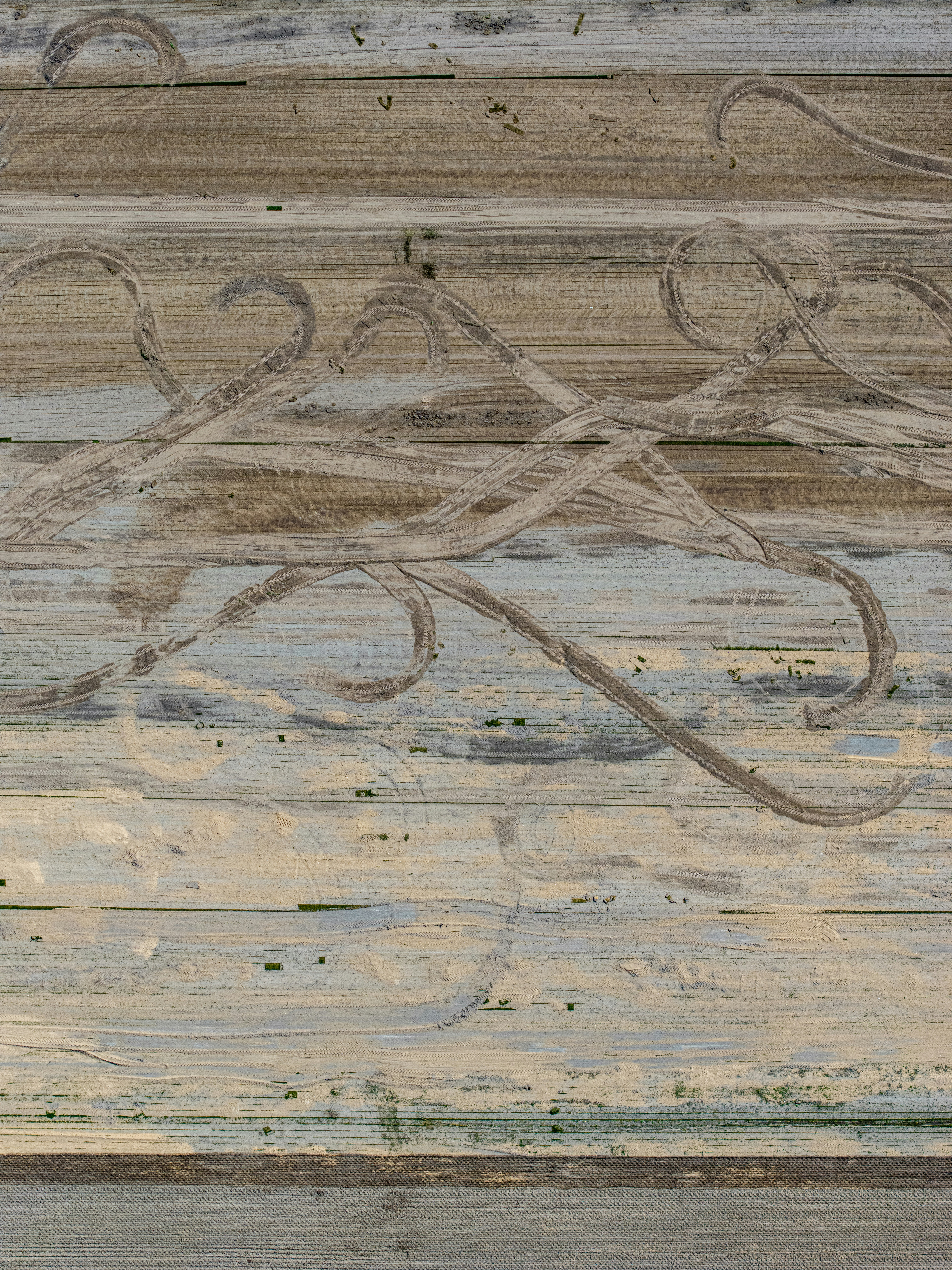 Swirls and Knots on Weathered Wooden Planks