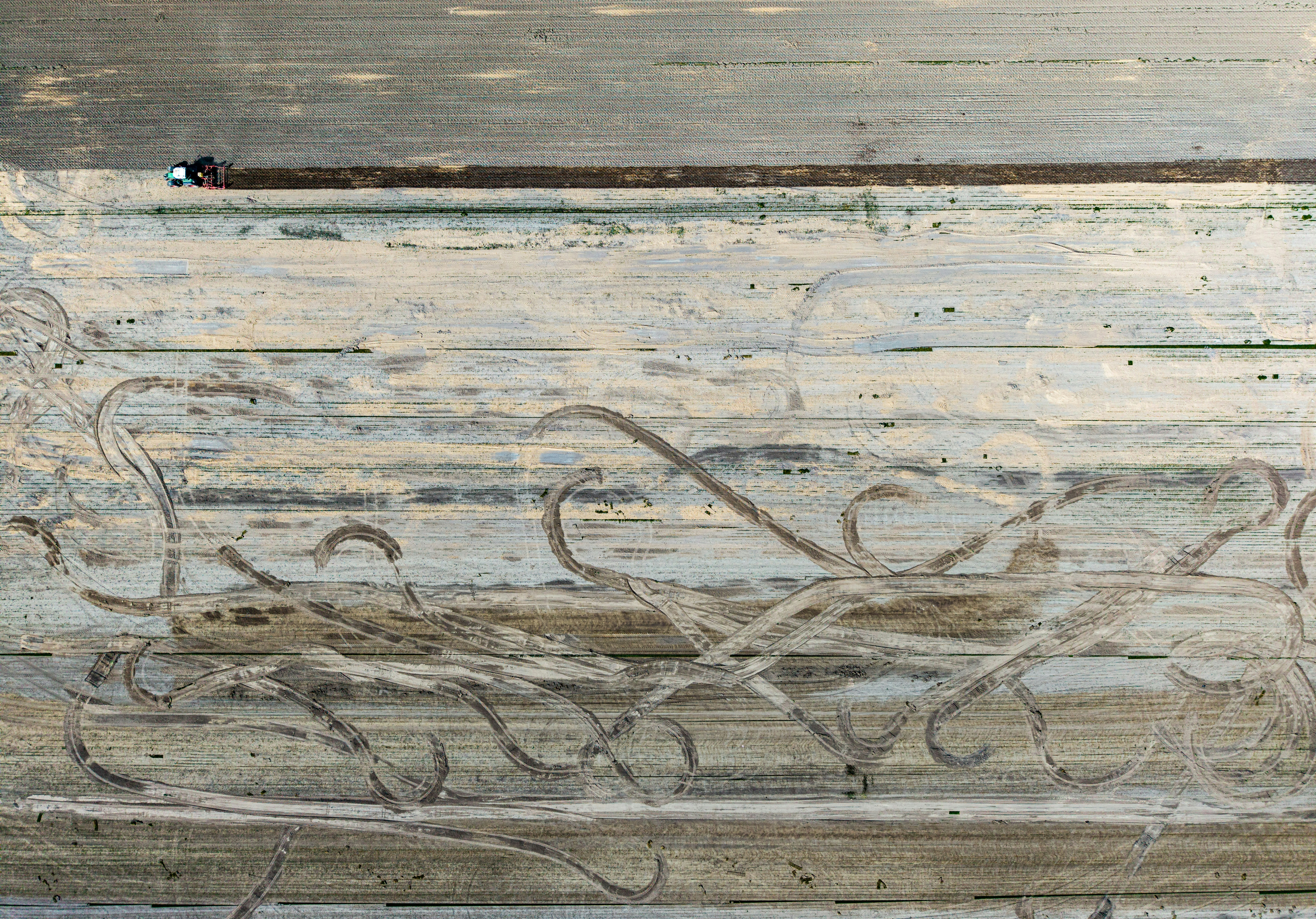 Weathered Dock Graffiti Trail Across Timber Planks