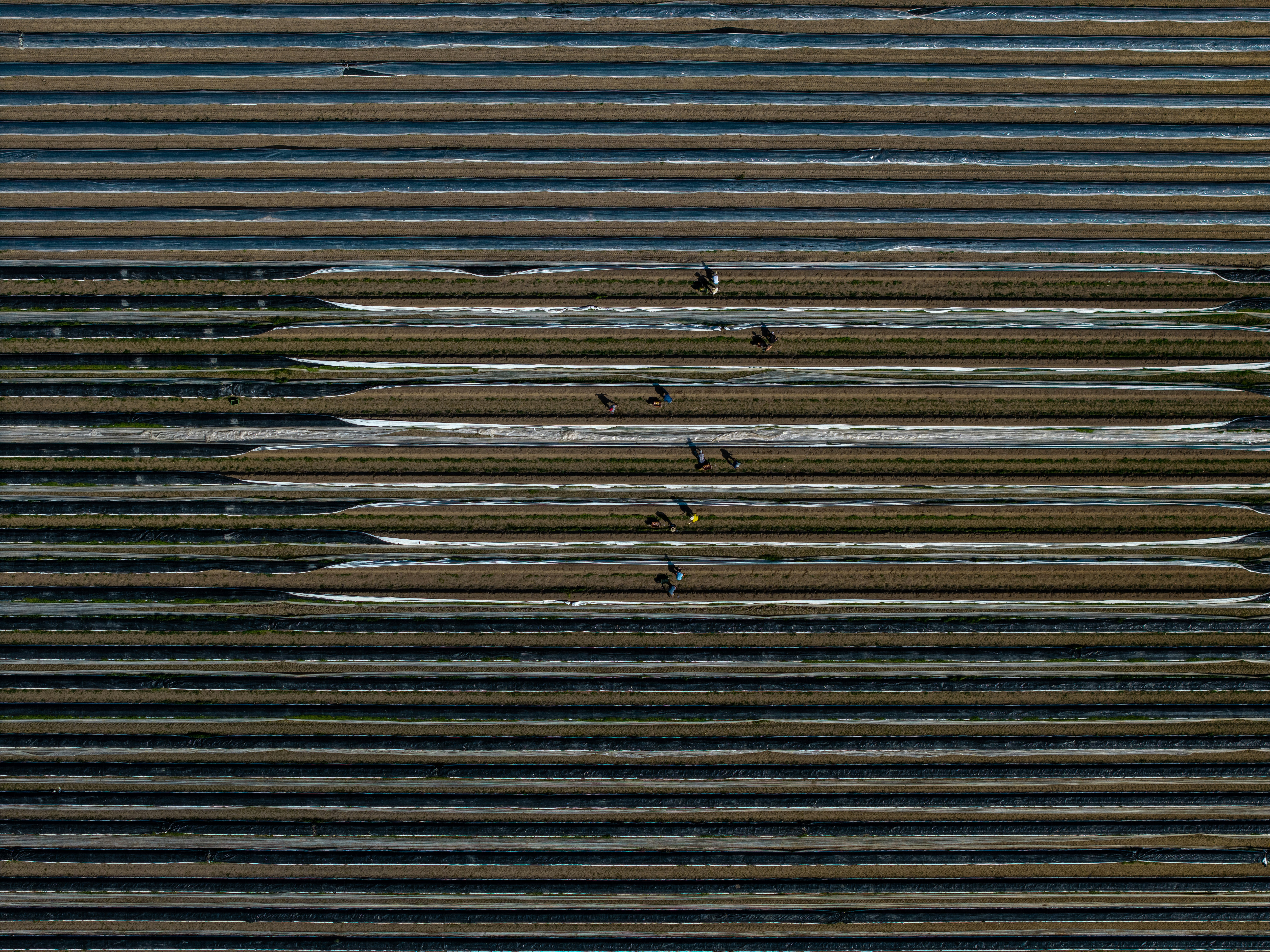 Industrial slats form repetitive lines with subtle weathering; small figures traverse the gaps, emphasizing scale and rhythm in an aerial view.