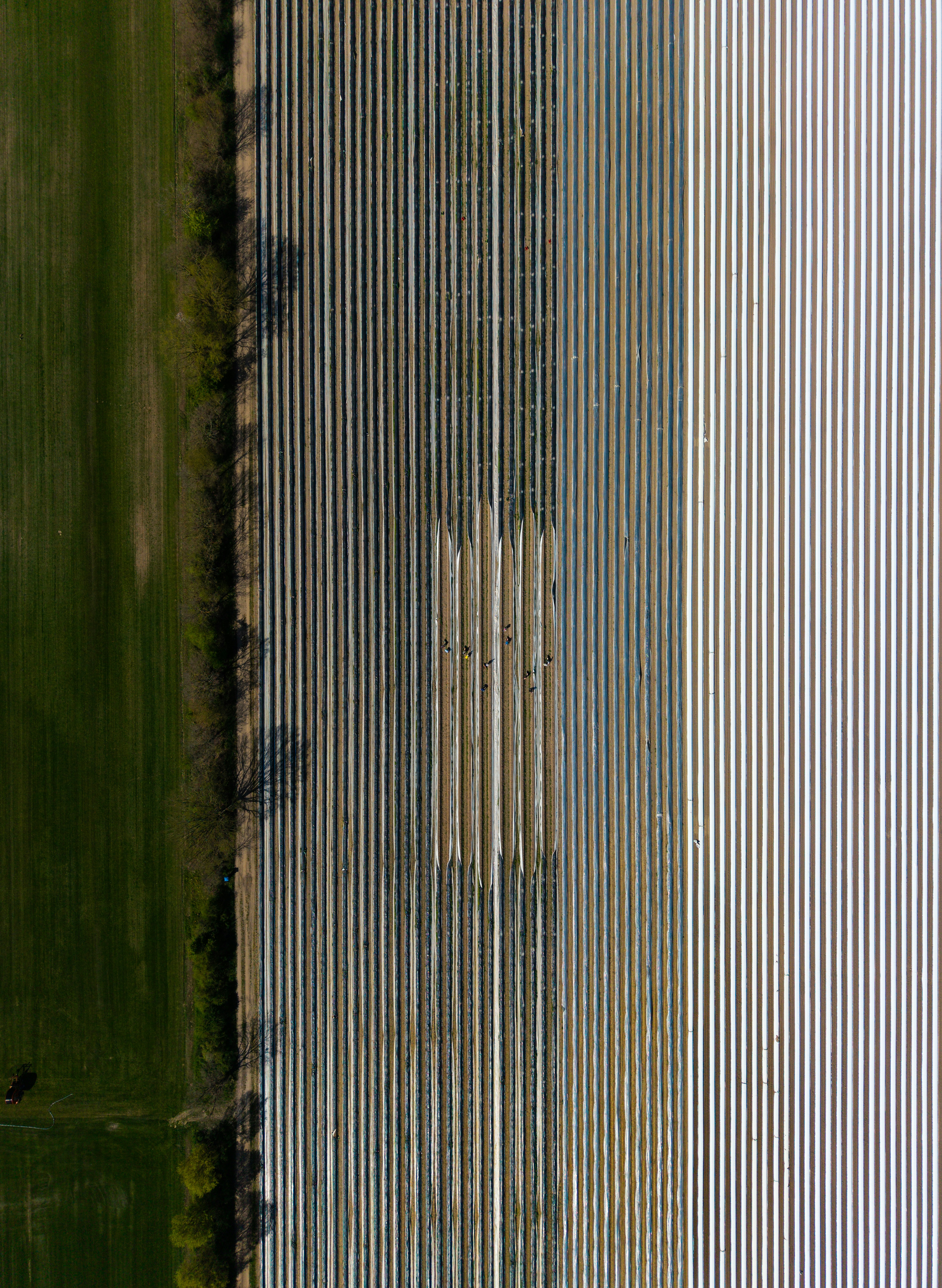 Aerial View of Multi-Pattern Greenhouse Rows and Field Boundary