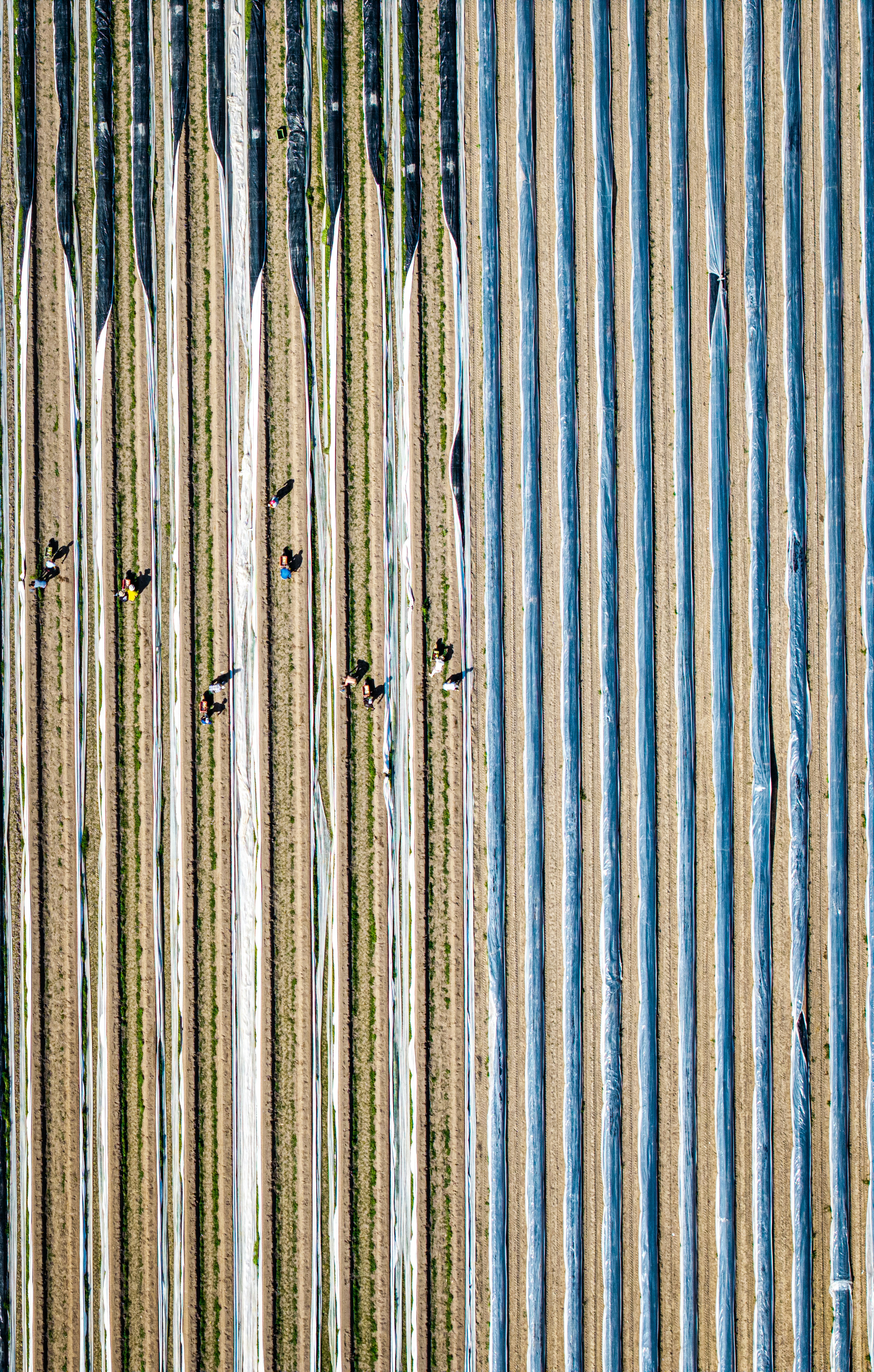 Striated Coastal Fences: Aerial Lines in Blue and Sand