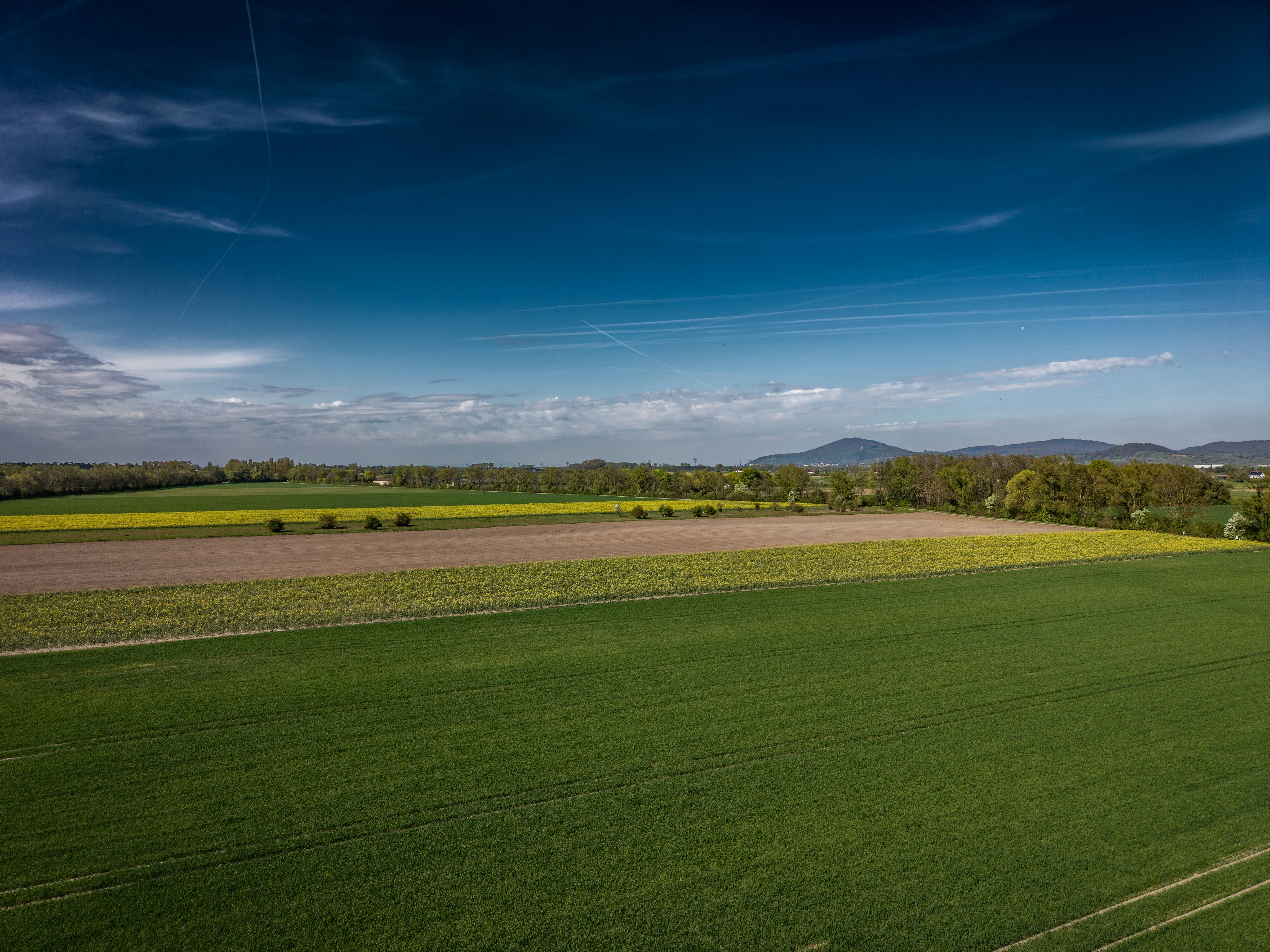 Fields in a Quiet Horizon Under a Deep Blue Sky