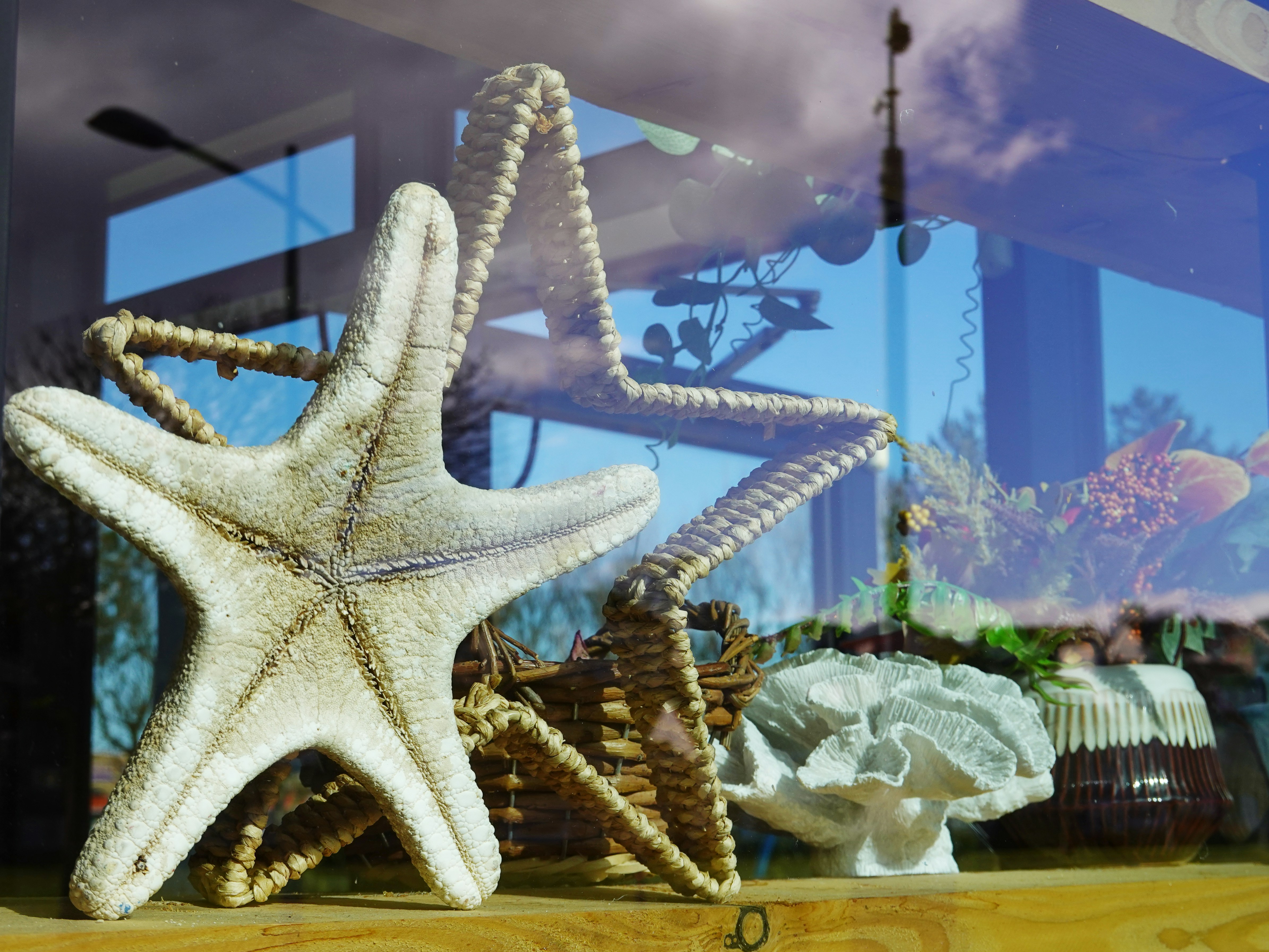 Seaside Star: Coastal Decor Framed in Glass