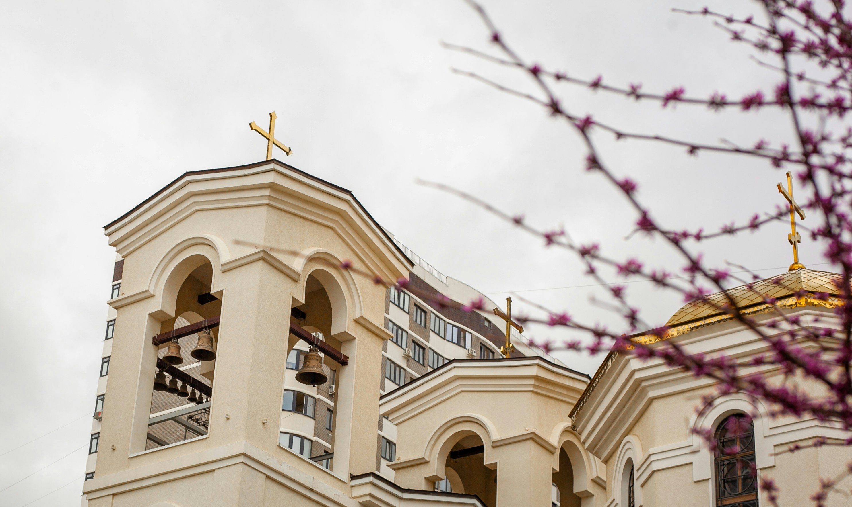 Crossed Archetype: Bell Tower and Blossoms on a Church Facade