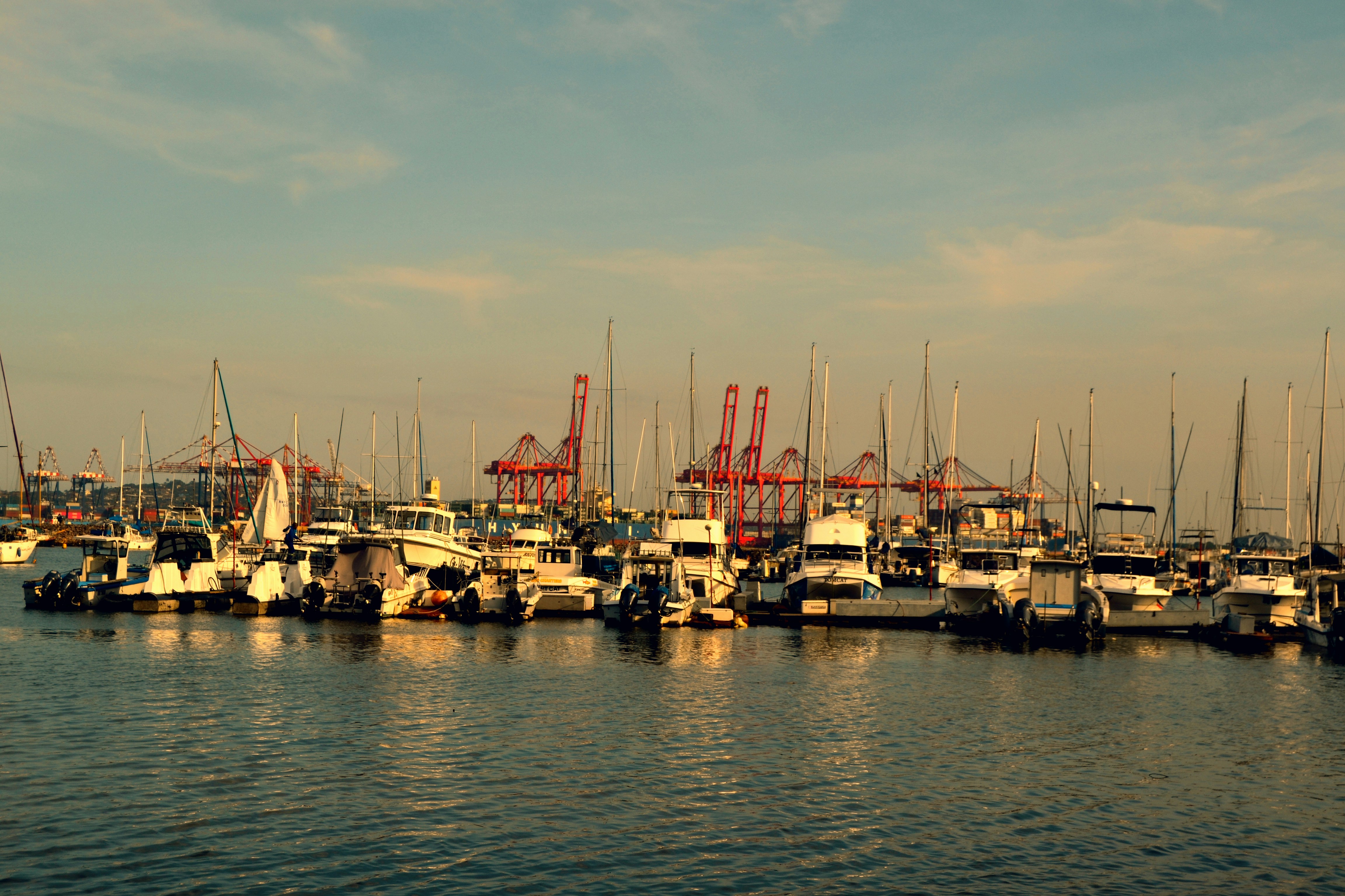 Harbor of Quiet Masts at Dusk