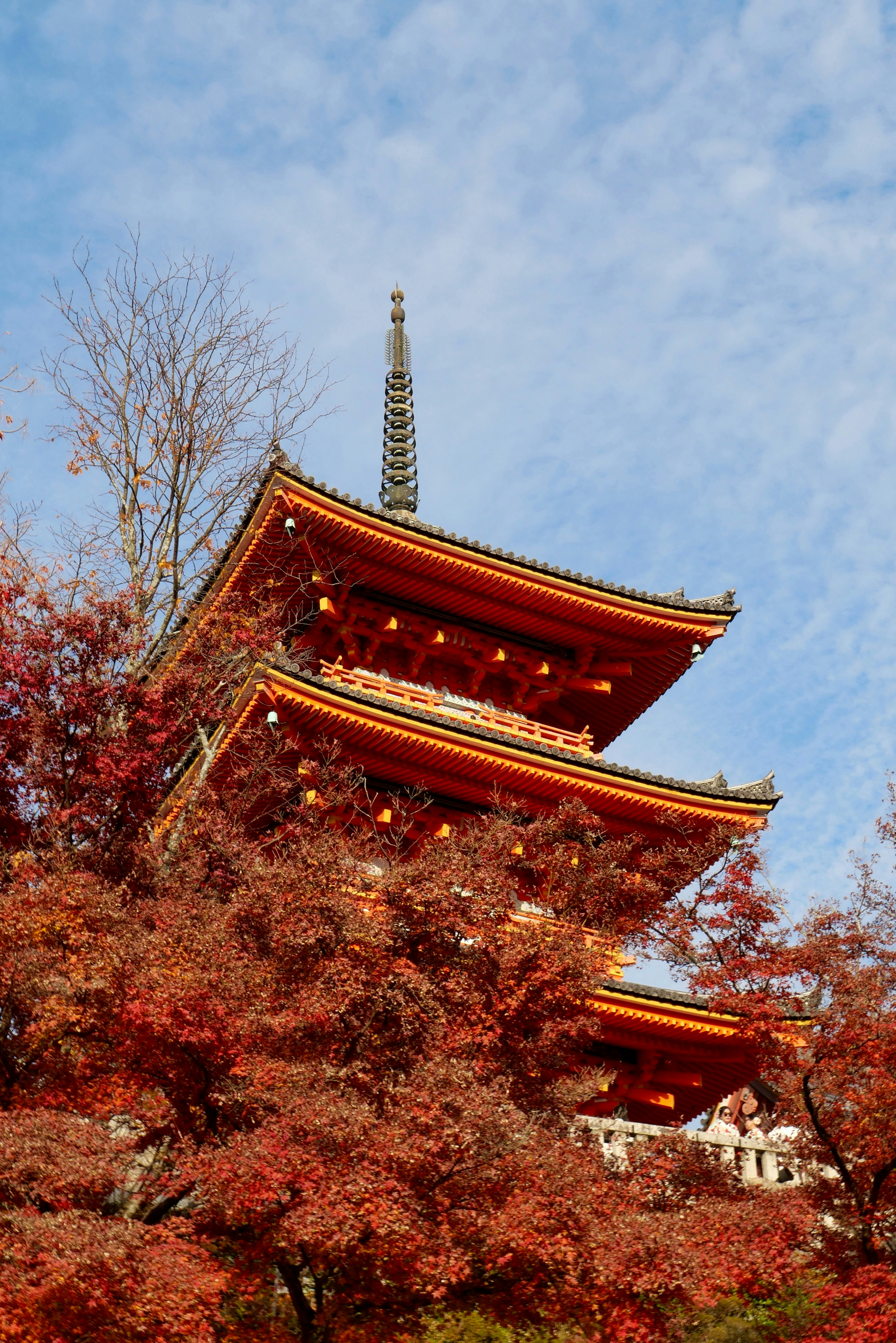 Autumn Pagoda Rising Through Crimson Canopy