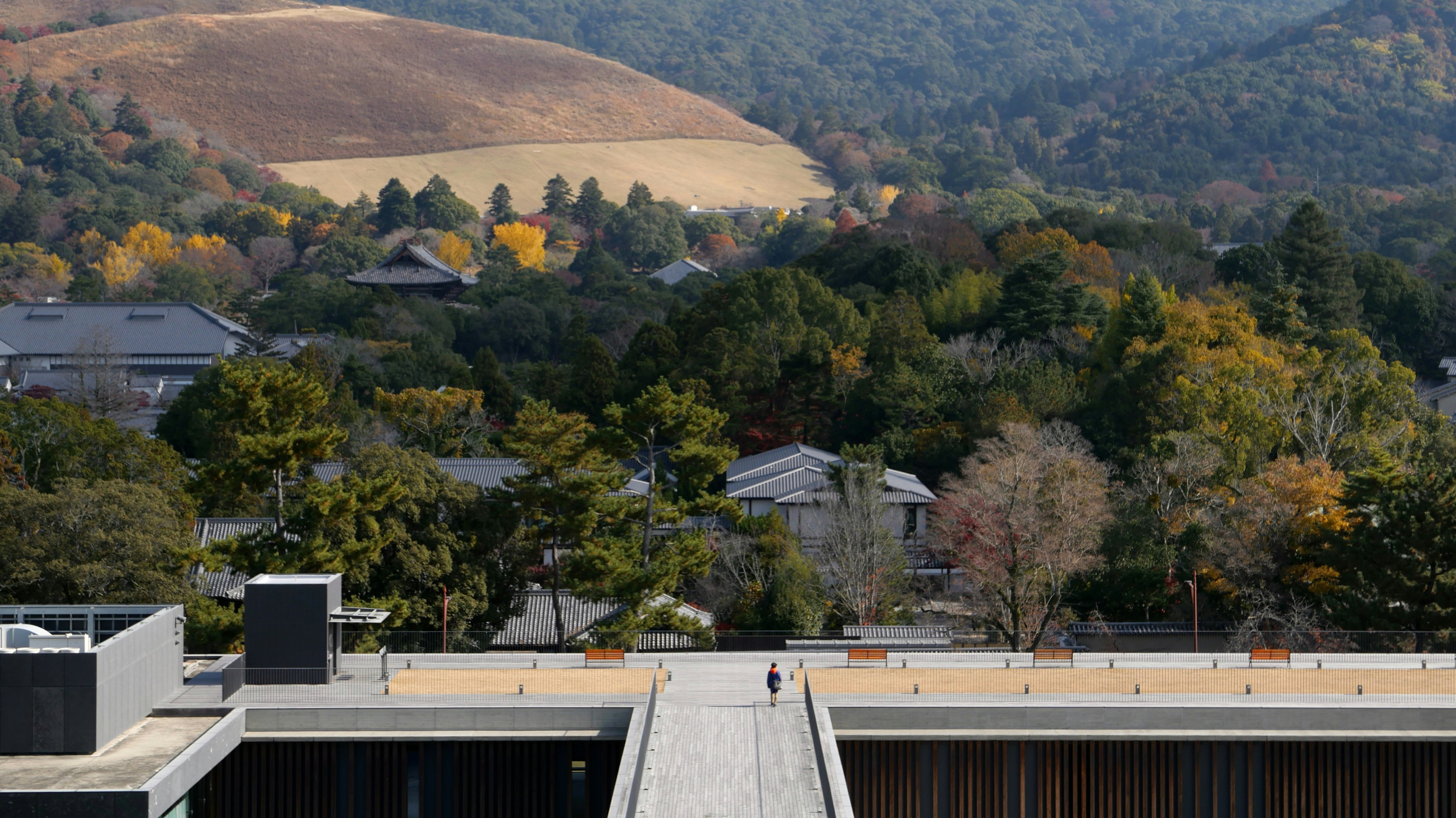 Terraced Campus over Golden Hills