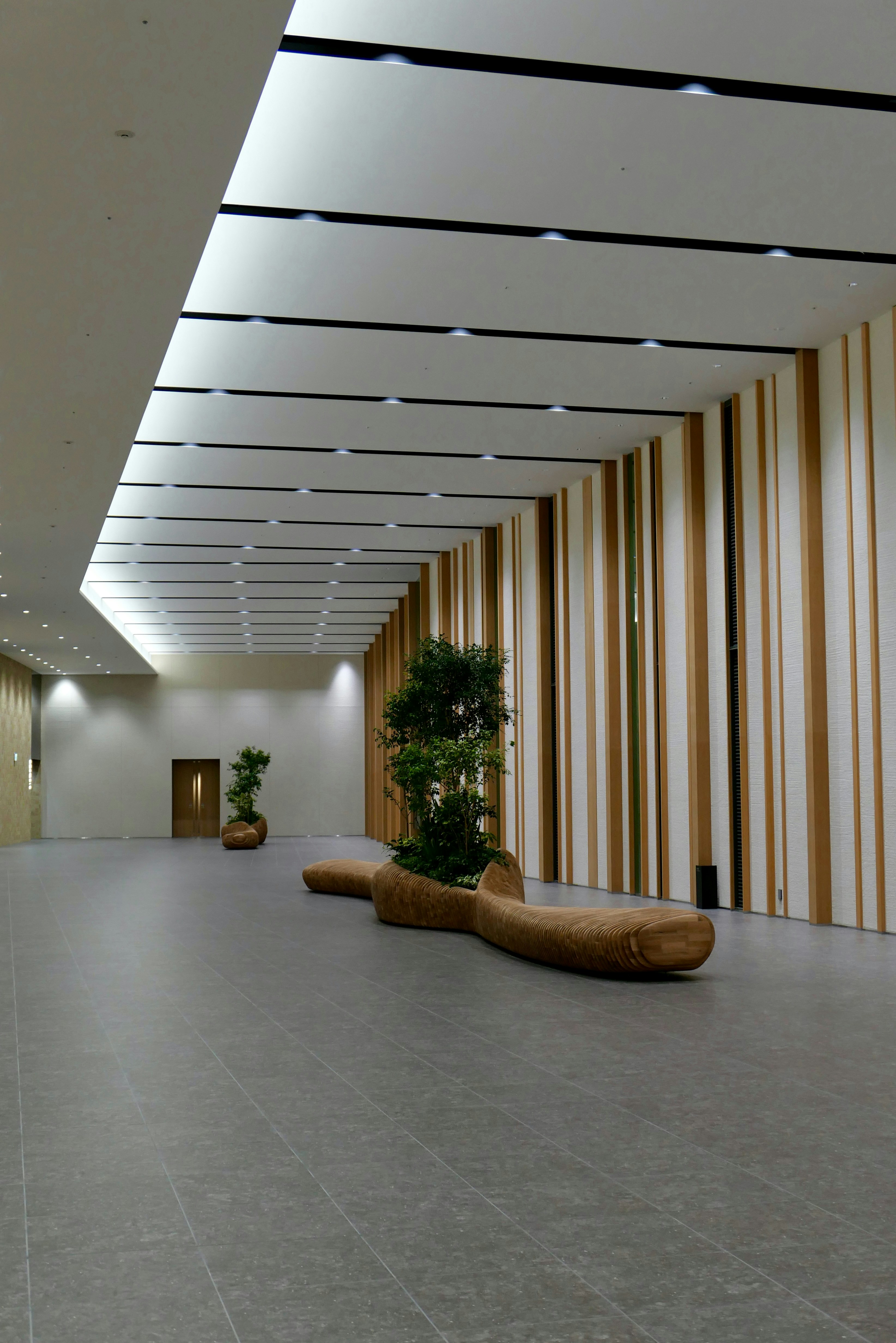 Symmetrical Atrium: Wooden Slats Meet Quiet Greenery