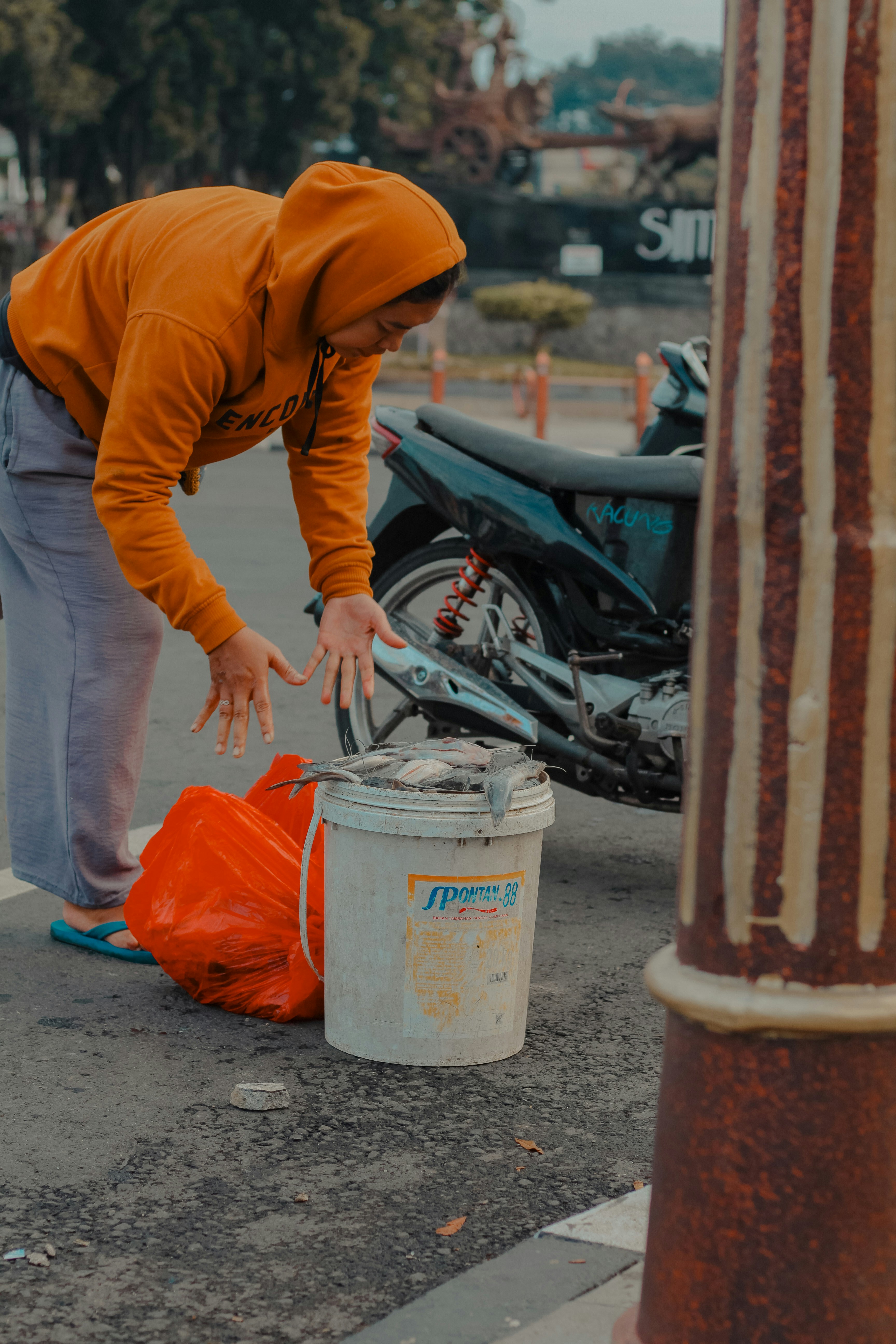 Curious Hands and a Hidden Bucket