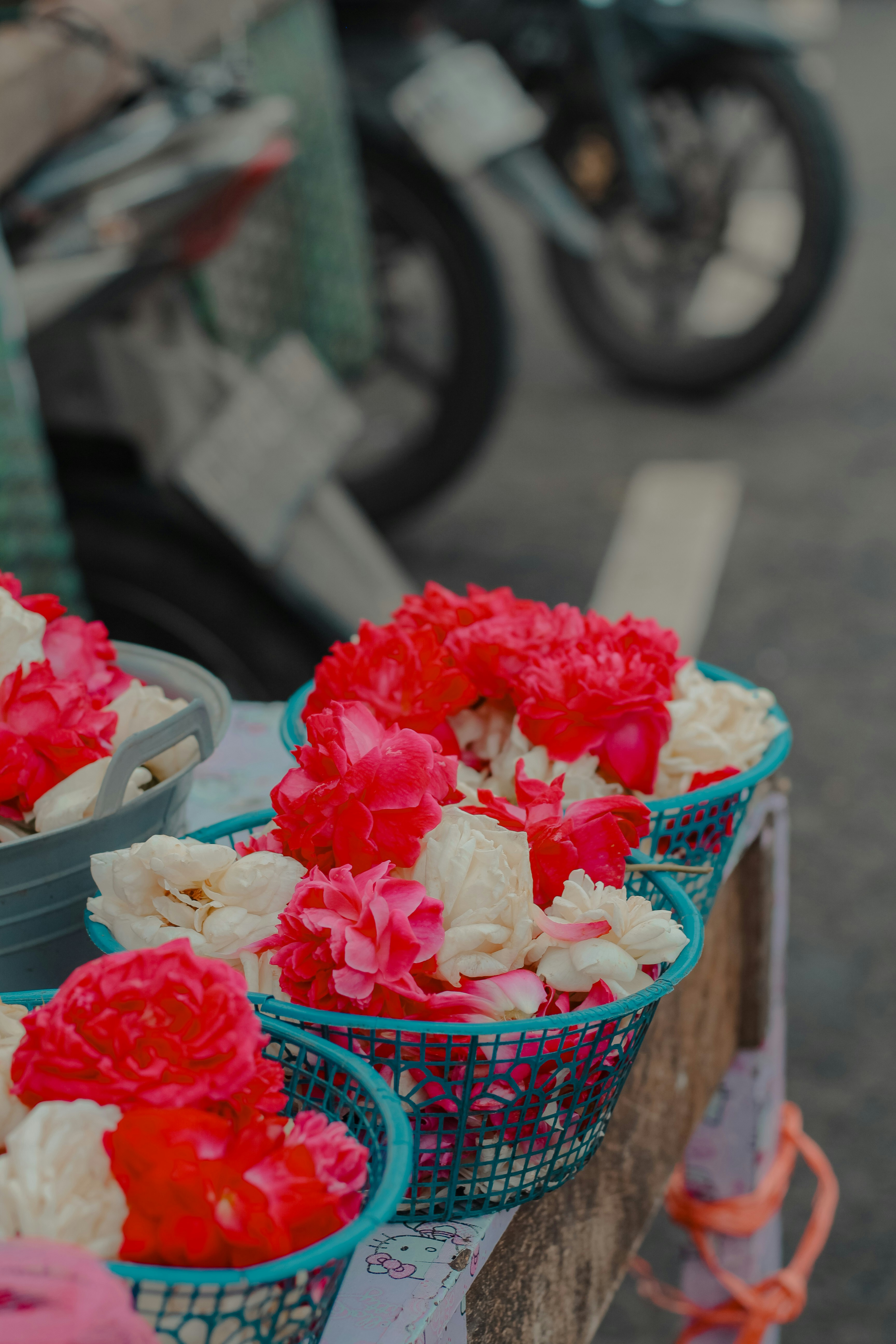 Basketful of Coral Blooms on a Street Corner