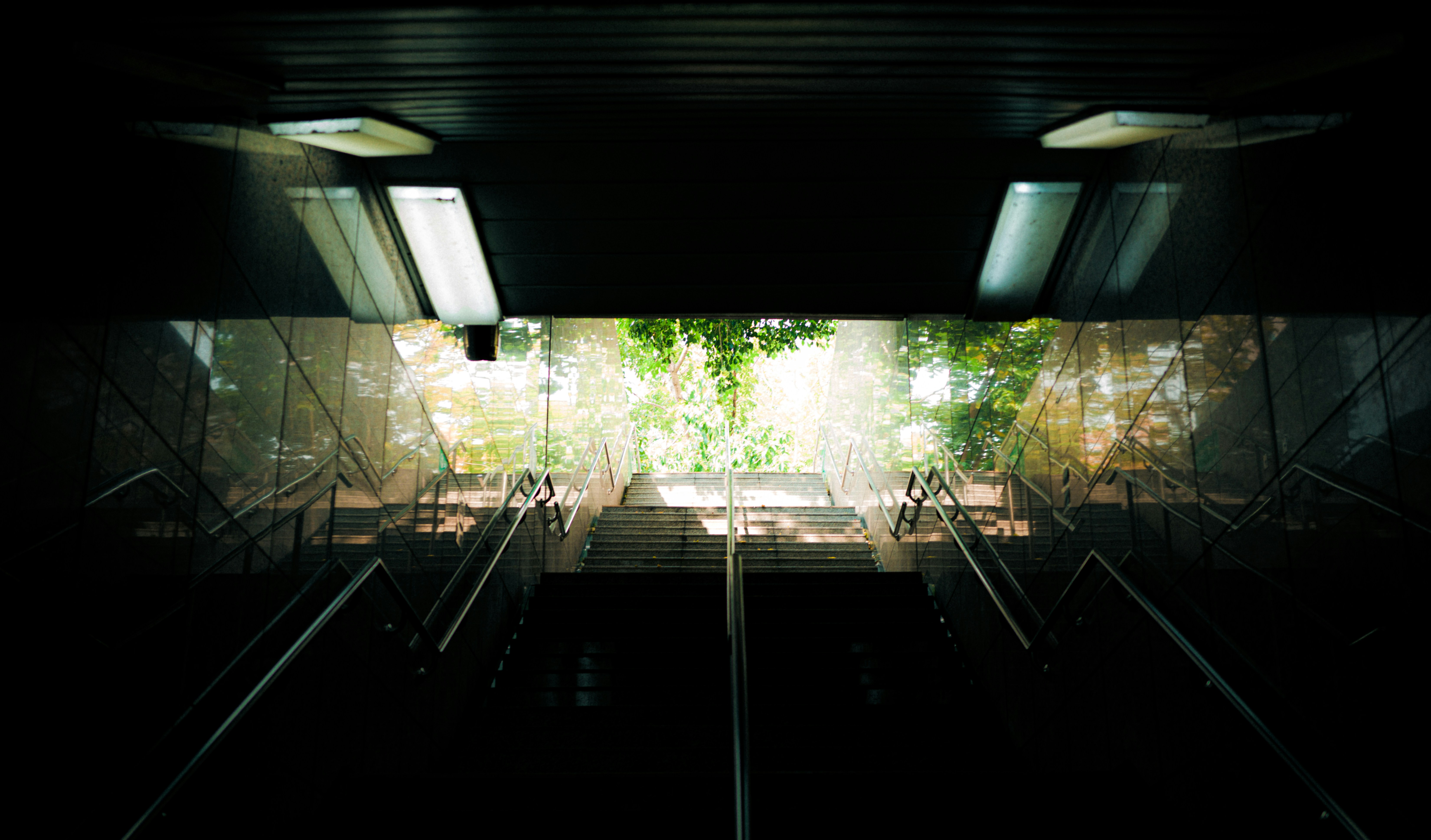 Emergence from the Darkness: Morning Light Along the Stairs