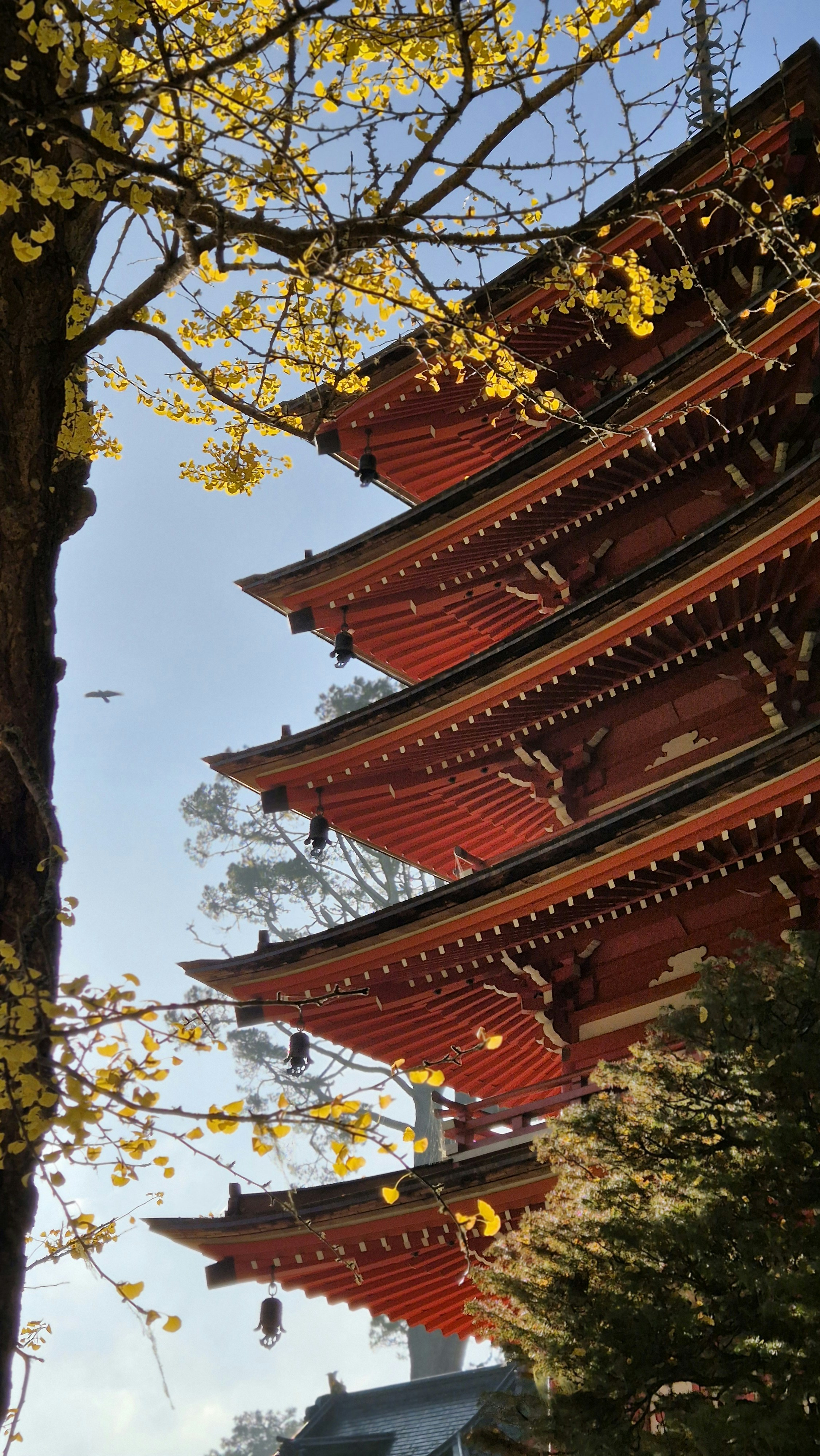 Joseph Ben (@josephben) | Comunidade de fotos da Unsplash