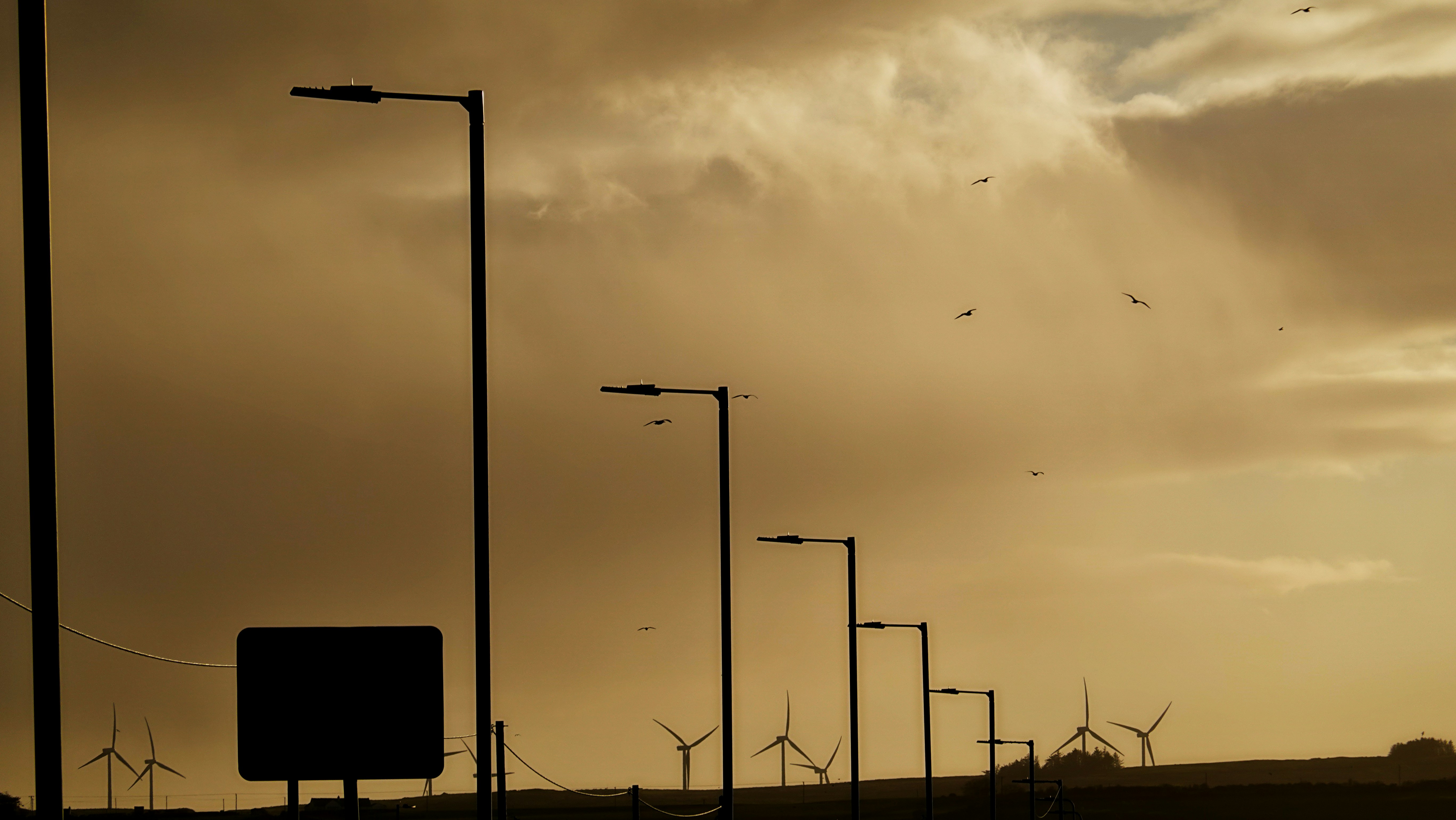 Sunset Streetlights and Wind Turbines: A Quiet Dusk Across the Horizon