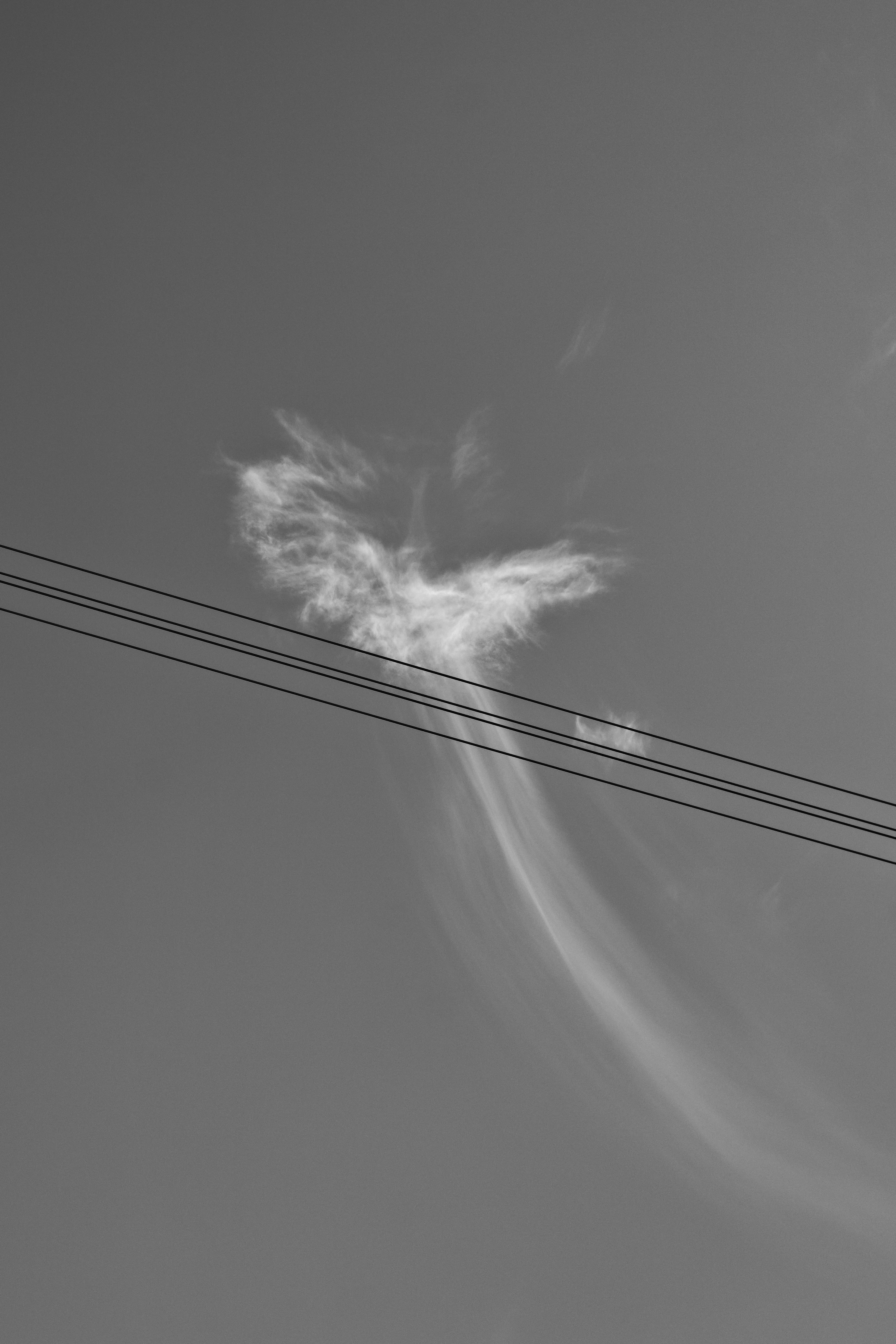 Swift wispy cloud trail crossing power lines under a pale sky