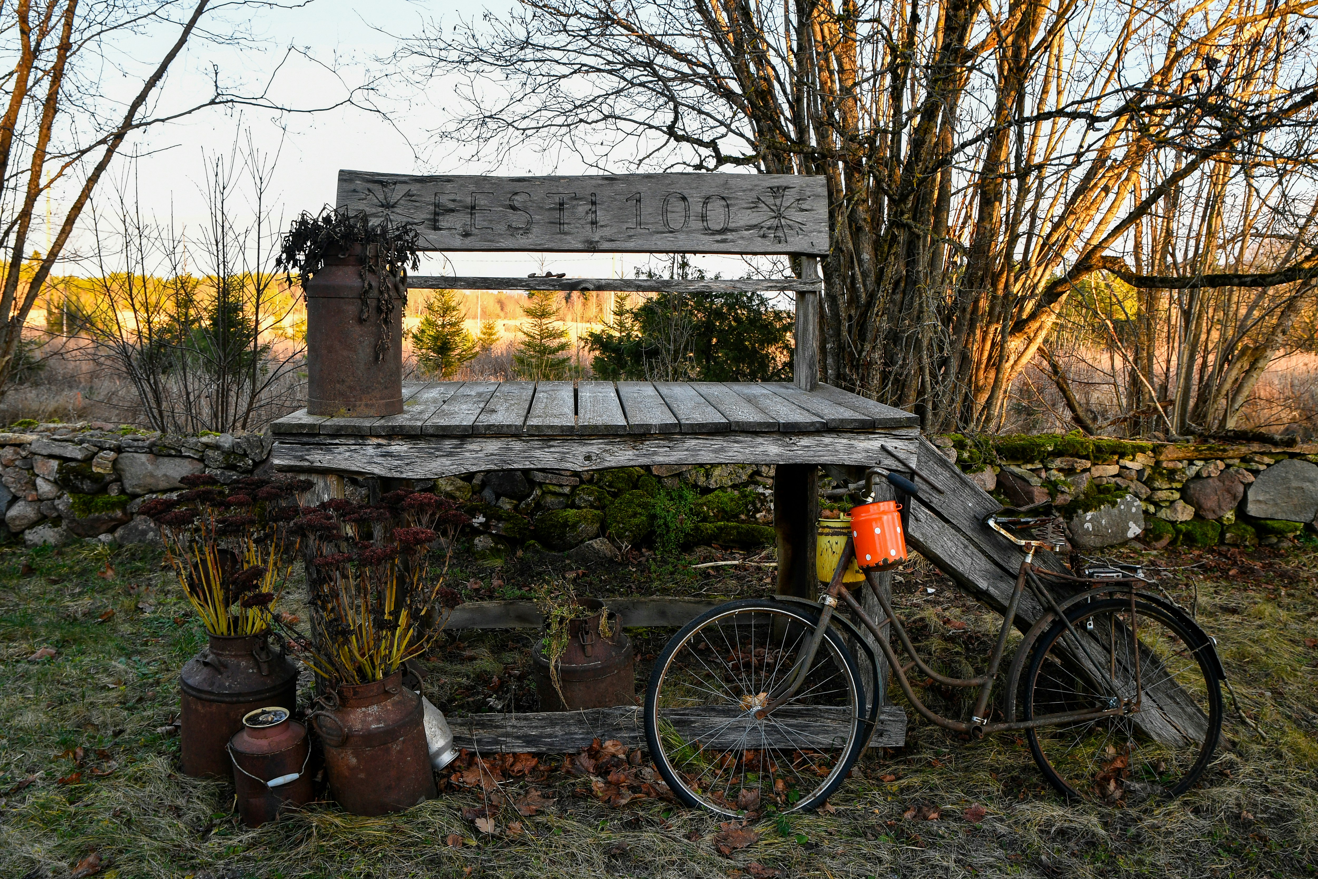 Joined by Rust and Time: An Old Bicycle by a Weathered Bench