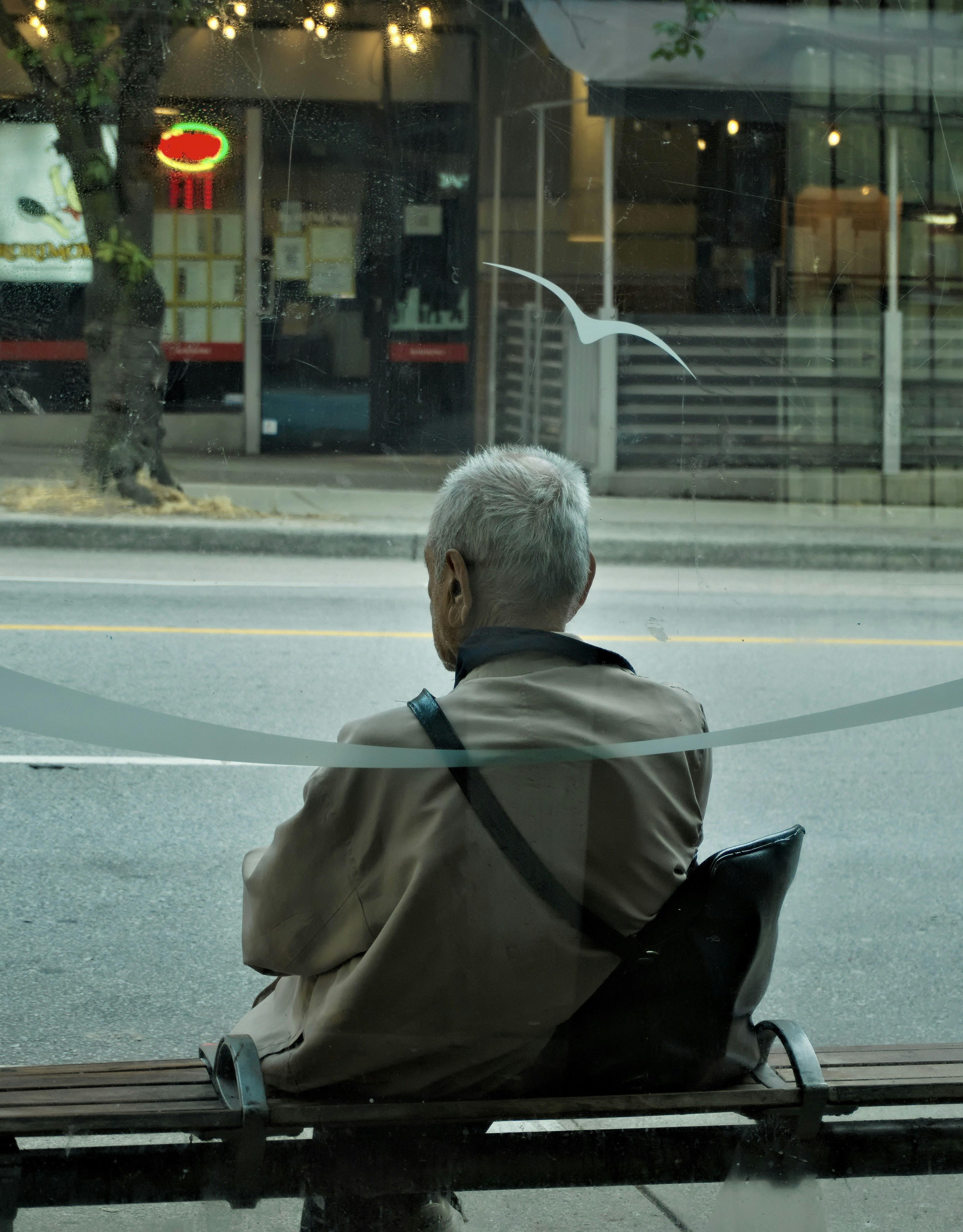 Midday on the Bench: Quiet Reflection Through Glass