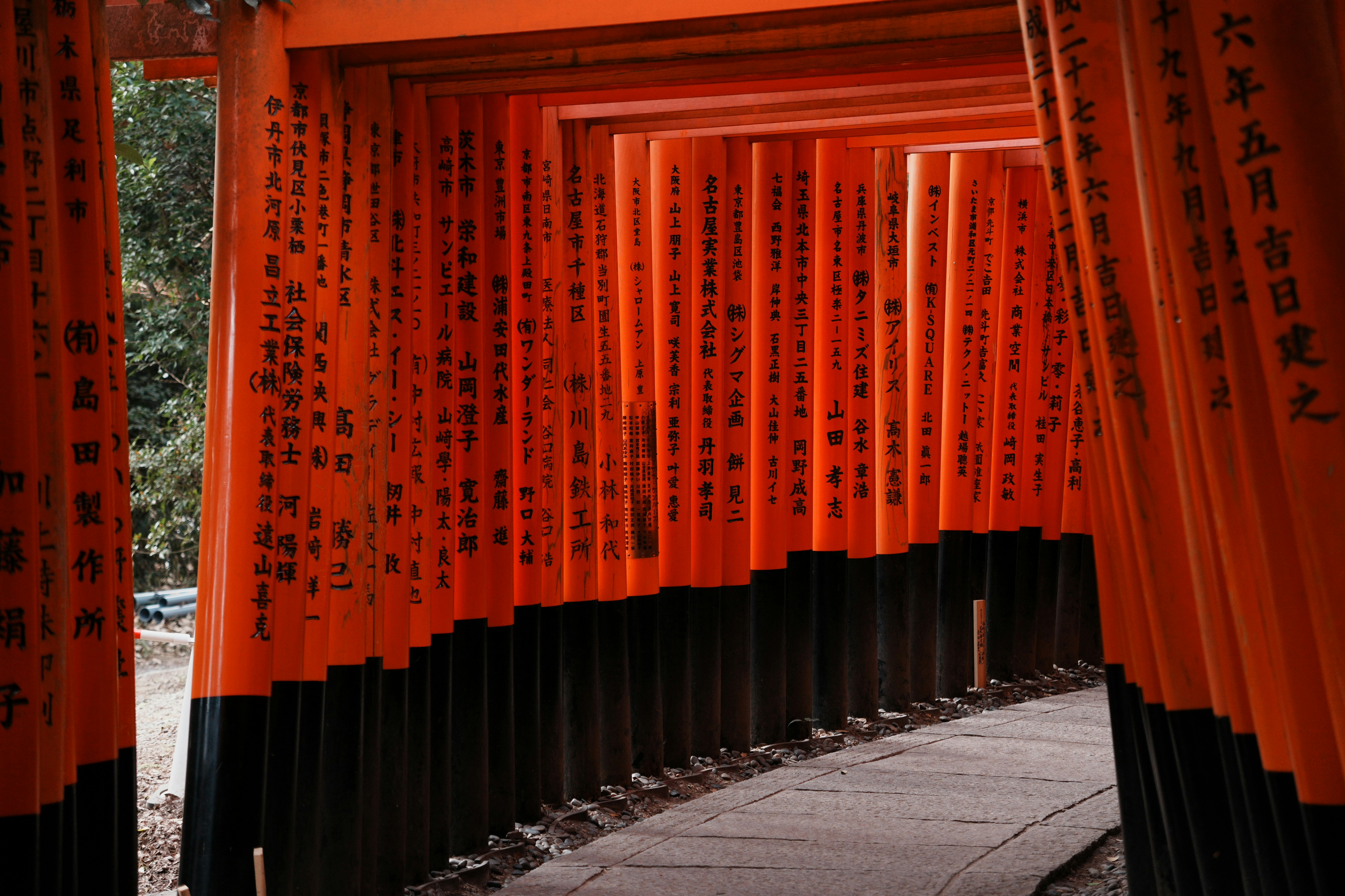 Crimson Gate: A Corridor of Torii Rods Dimming into Perspective