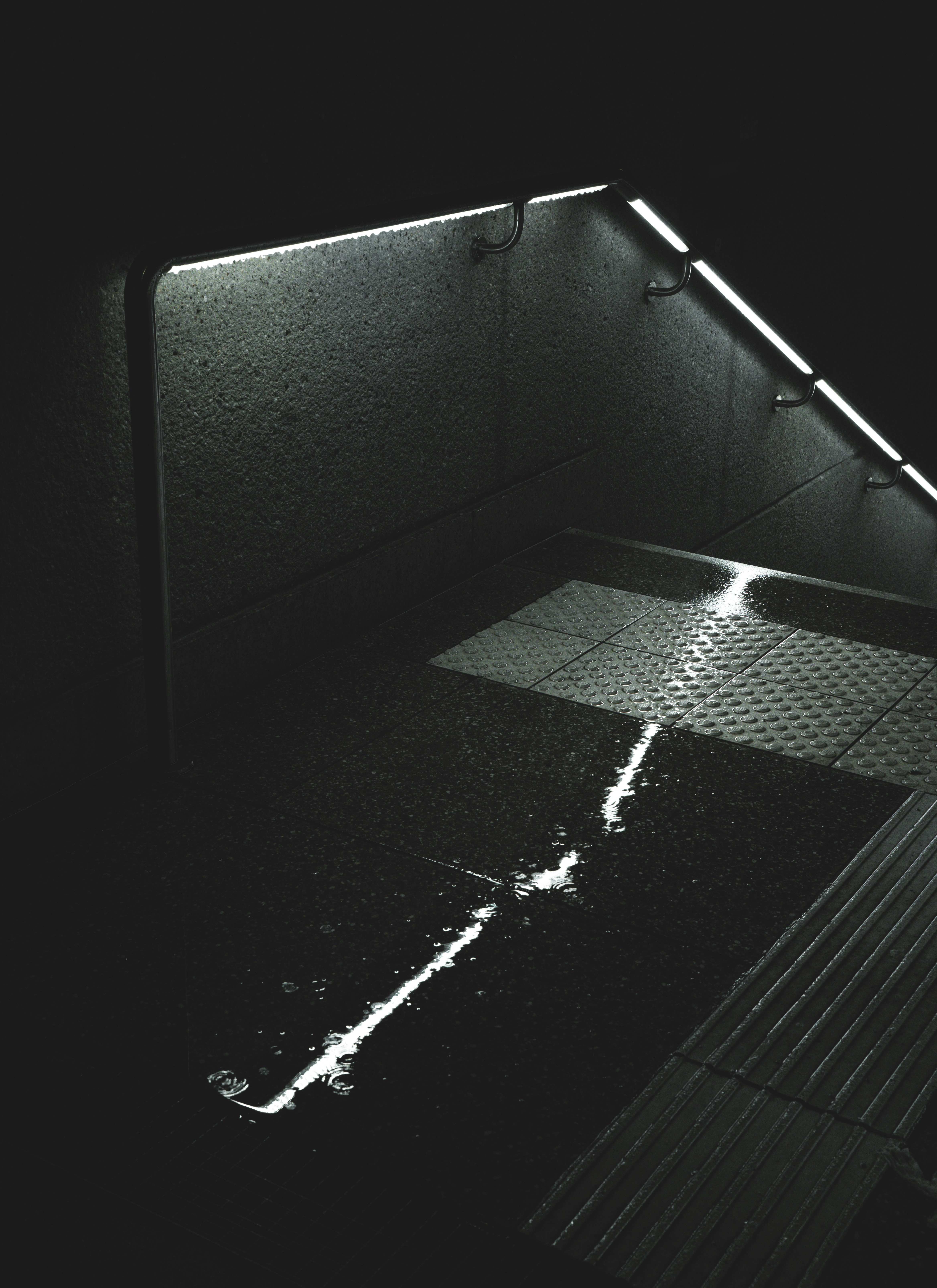 Neon Rail Downward: A Quiet Descent Through Wet Concrete