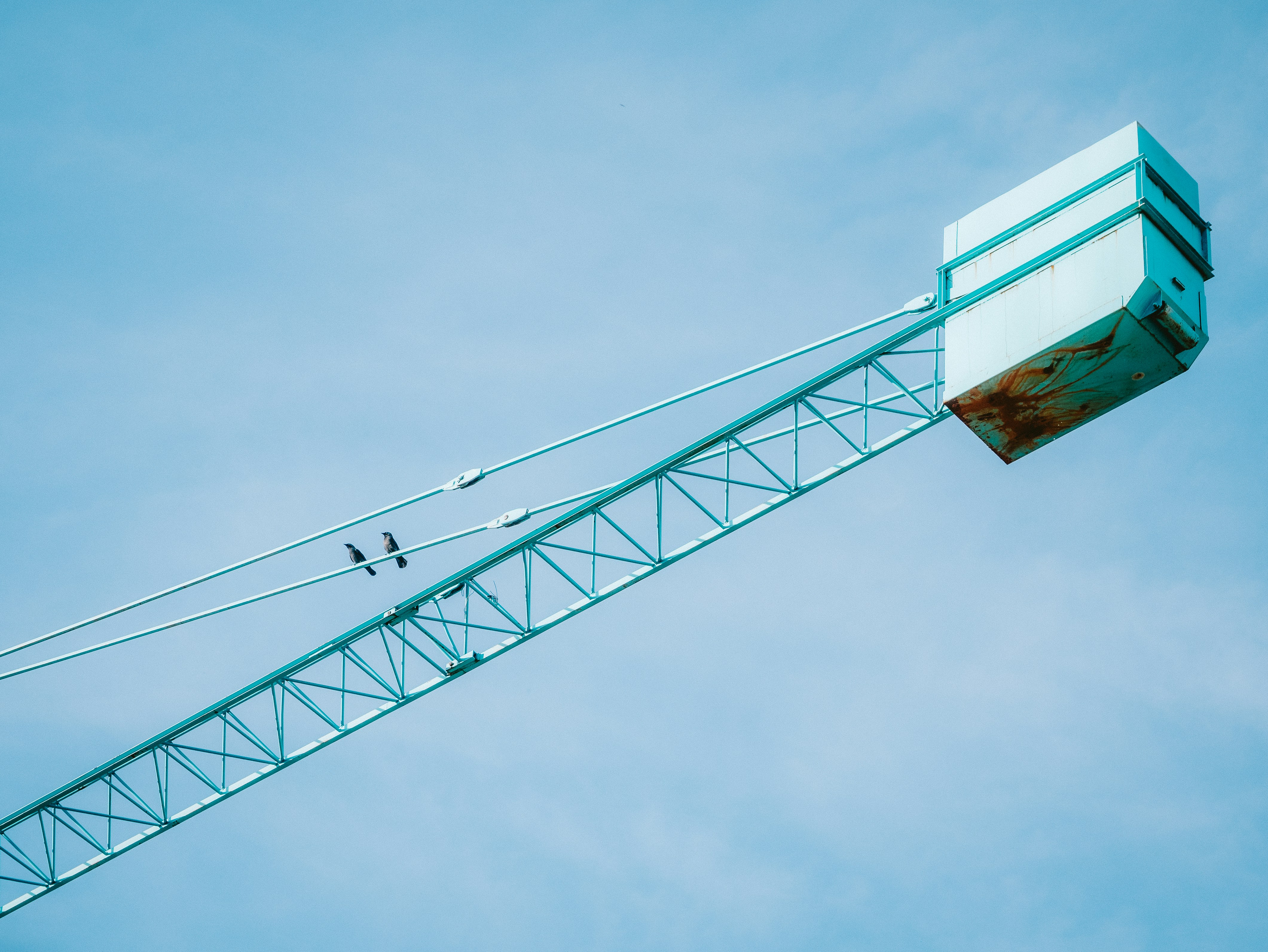High-Tide Crane: A Skyward Gander at Steel and Sky