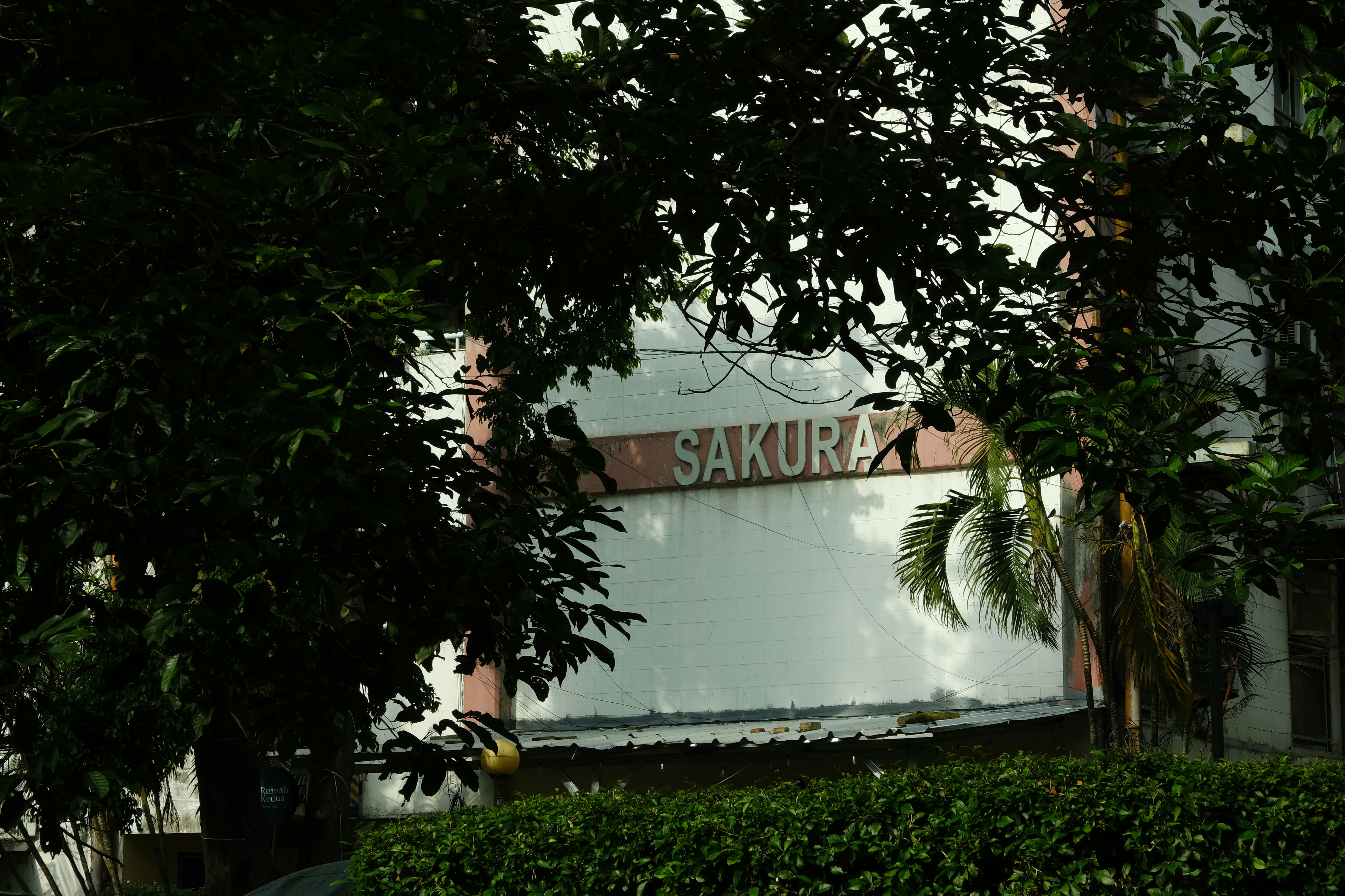 Sakura Sign Enveloped by Foliage