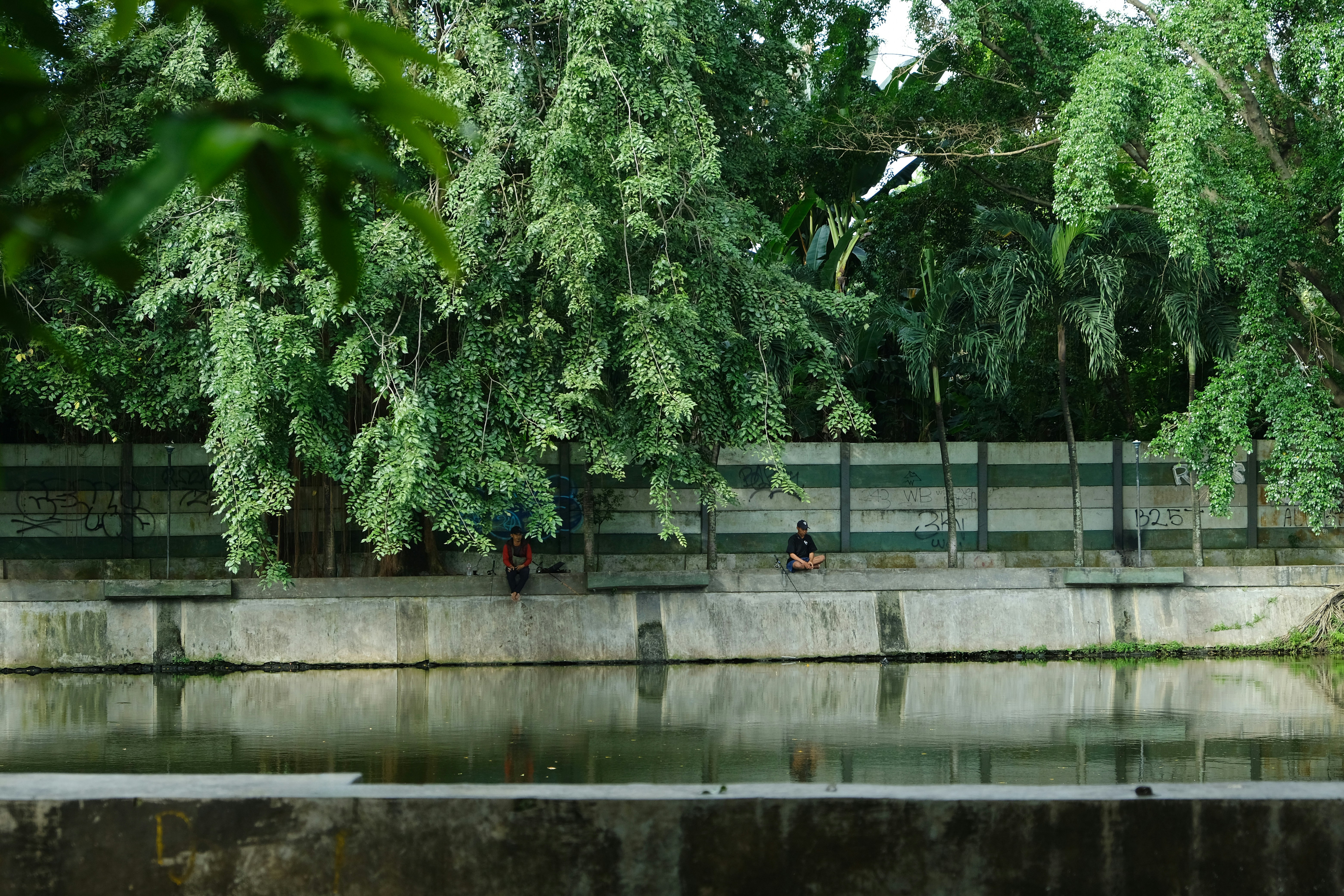 Quiet Riverside Vigil: A Pair Beneath Cascading Foliage