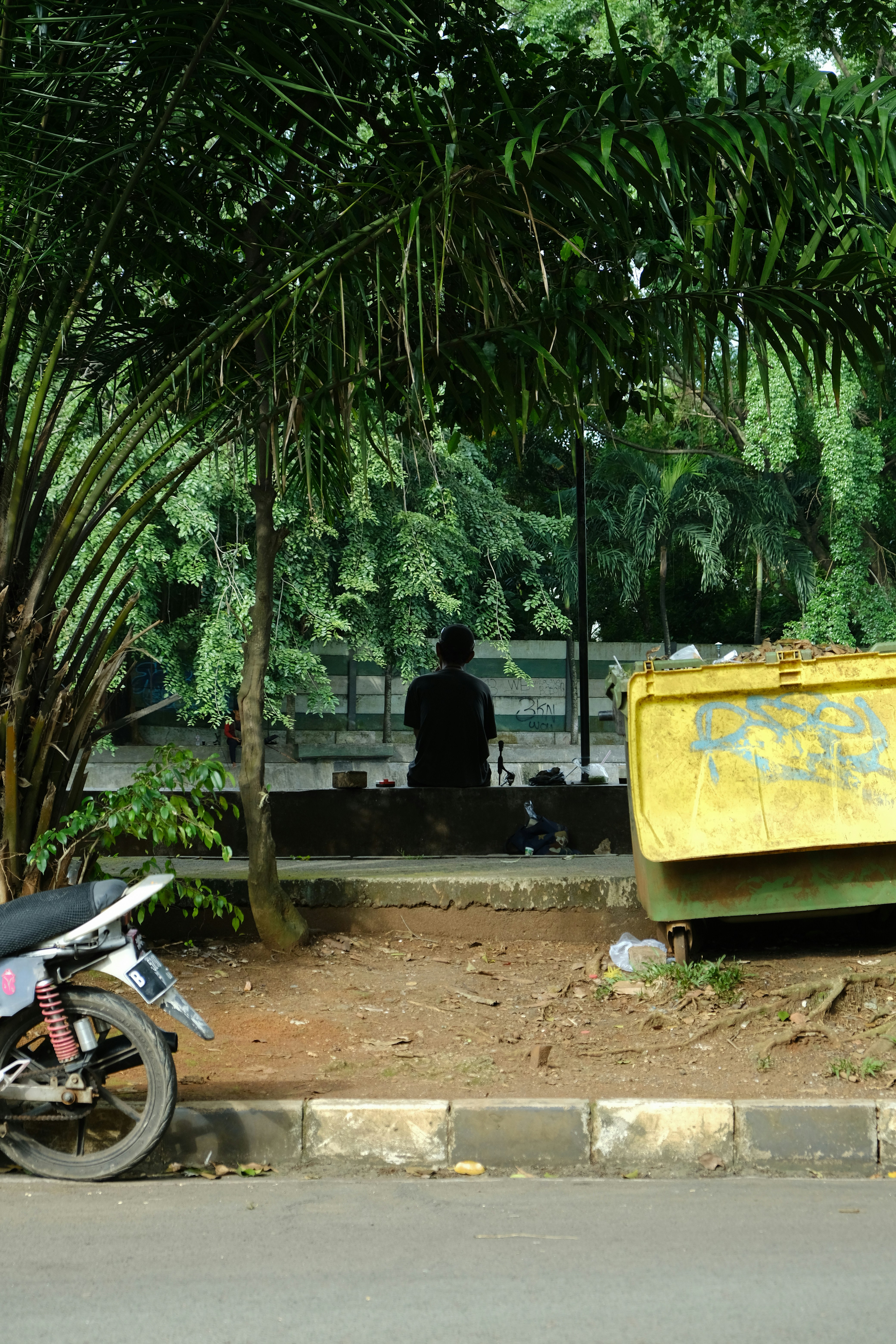 Lonely Watcher Under a Canopy: A Quiet Moment by the Park Wall
