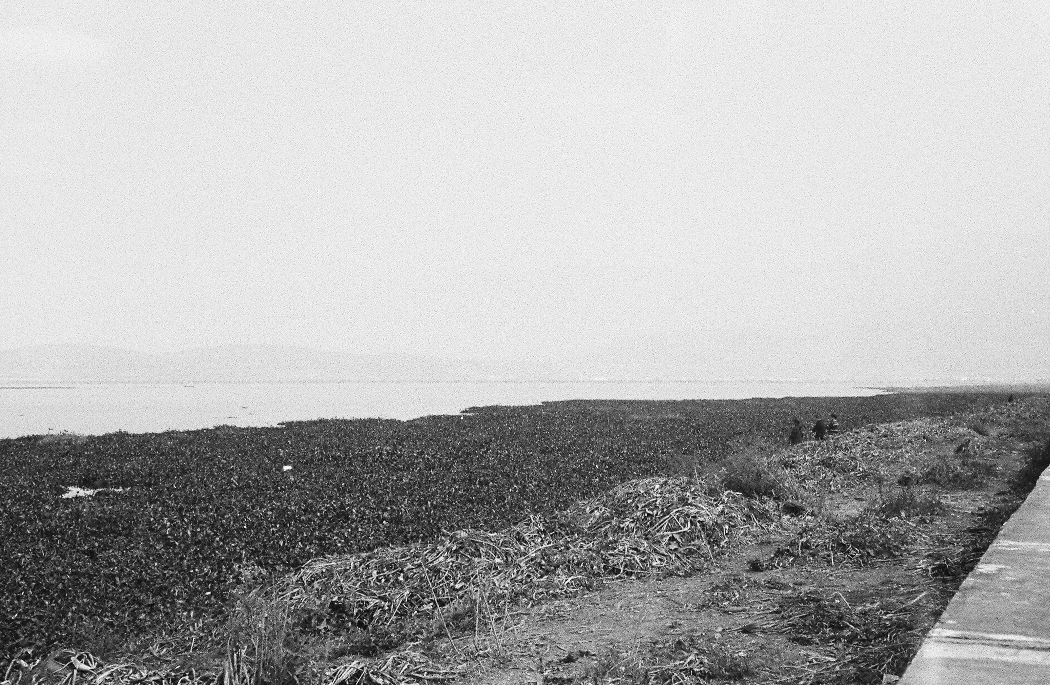 Coastal Shingle Beach with Distant Figures by a Sliver of Horizon