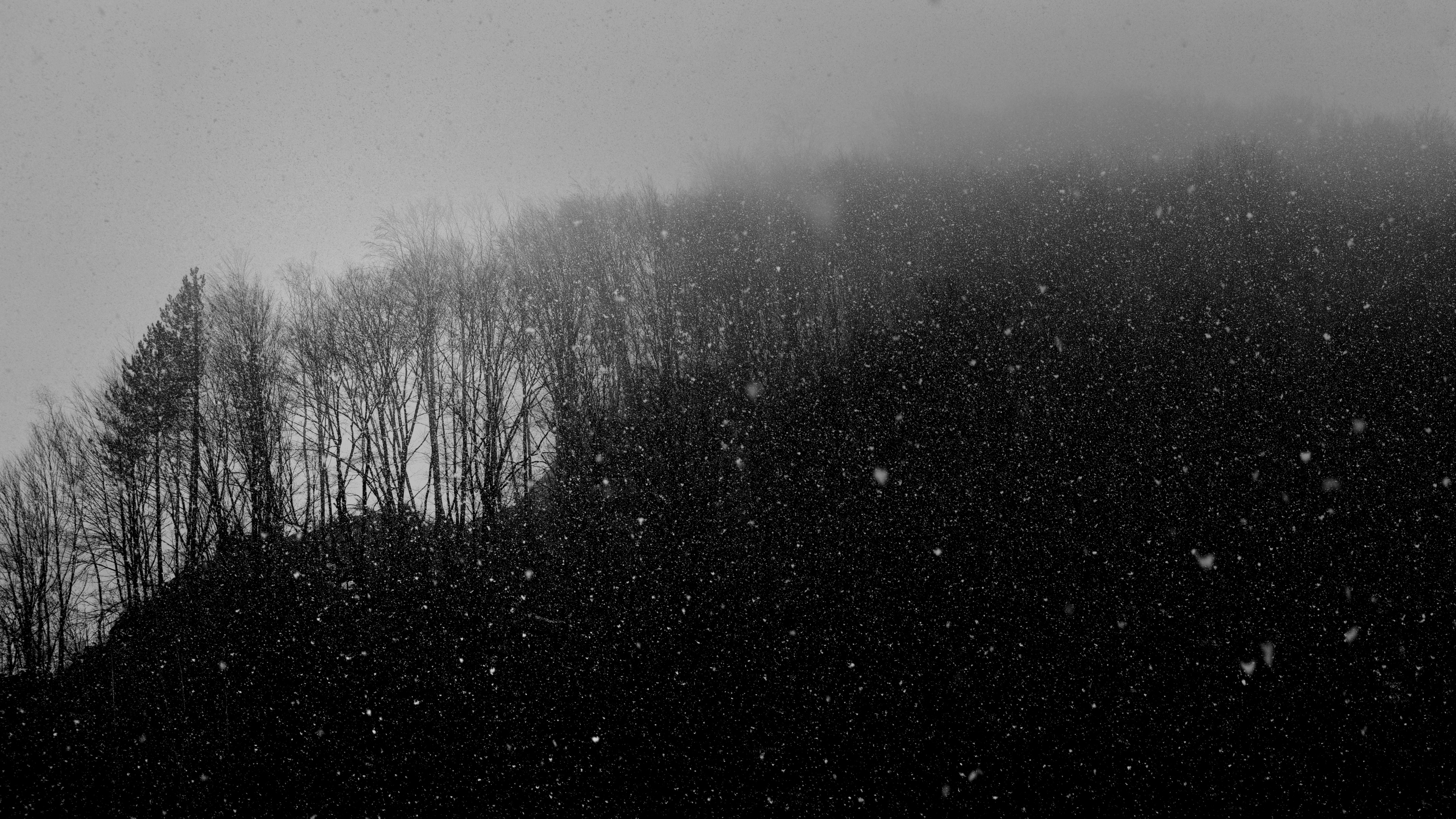 Snowfall Veiling the Silent Ridge
