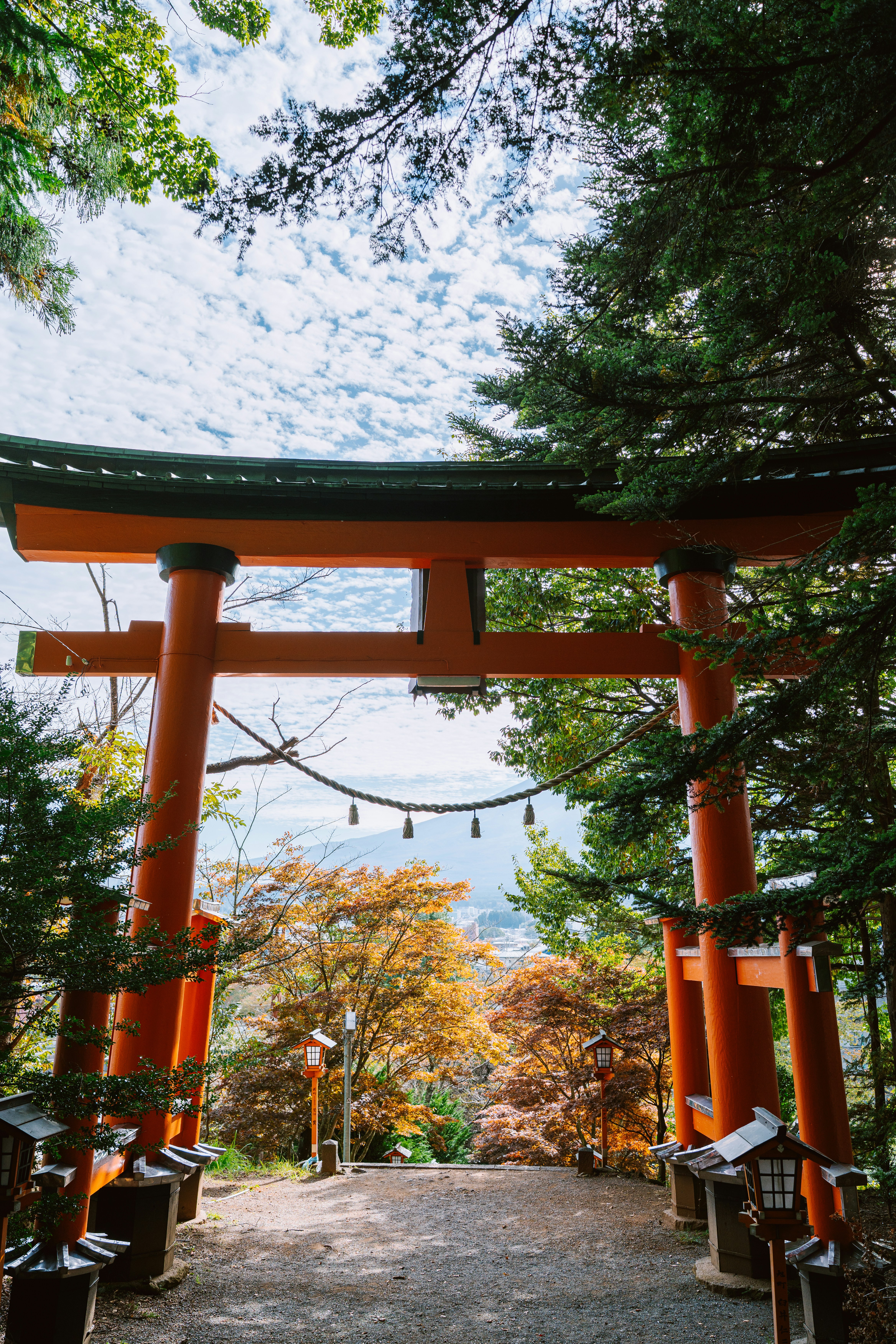 Crimson Torii Gate Framing a Path Through Autumn Light
