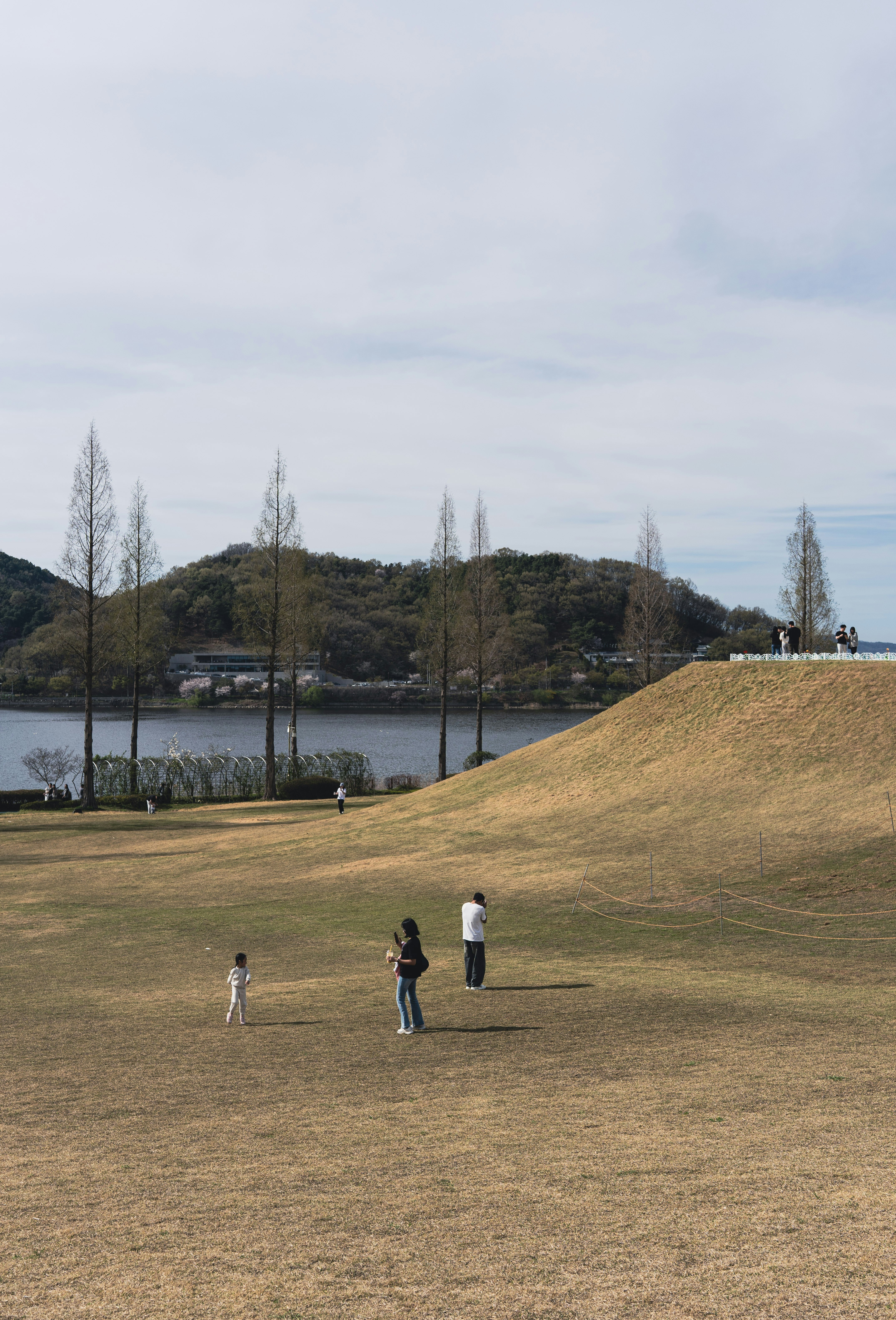 People on a grassy hill by a calm lakeside under a pale sky