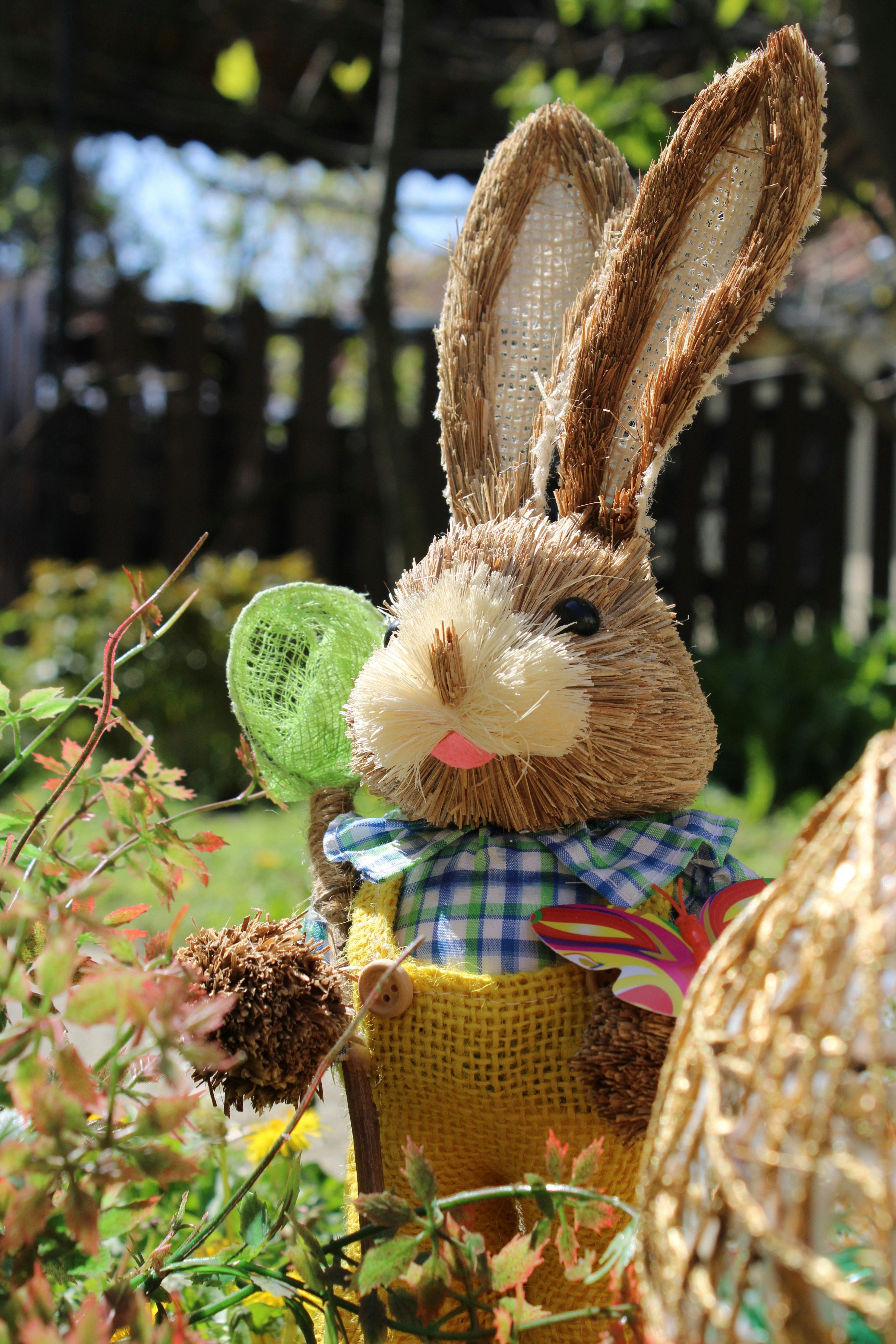 Sunny Plush Bunny in a Garden Playfully Framed by Outdoor Greens