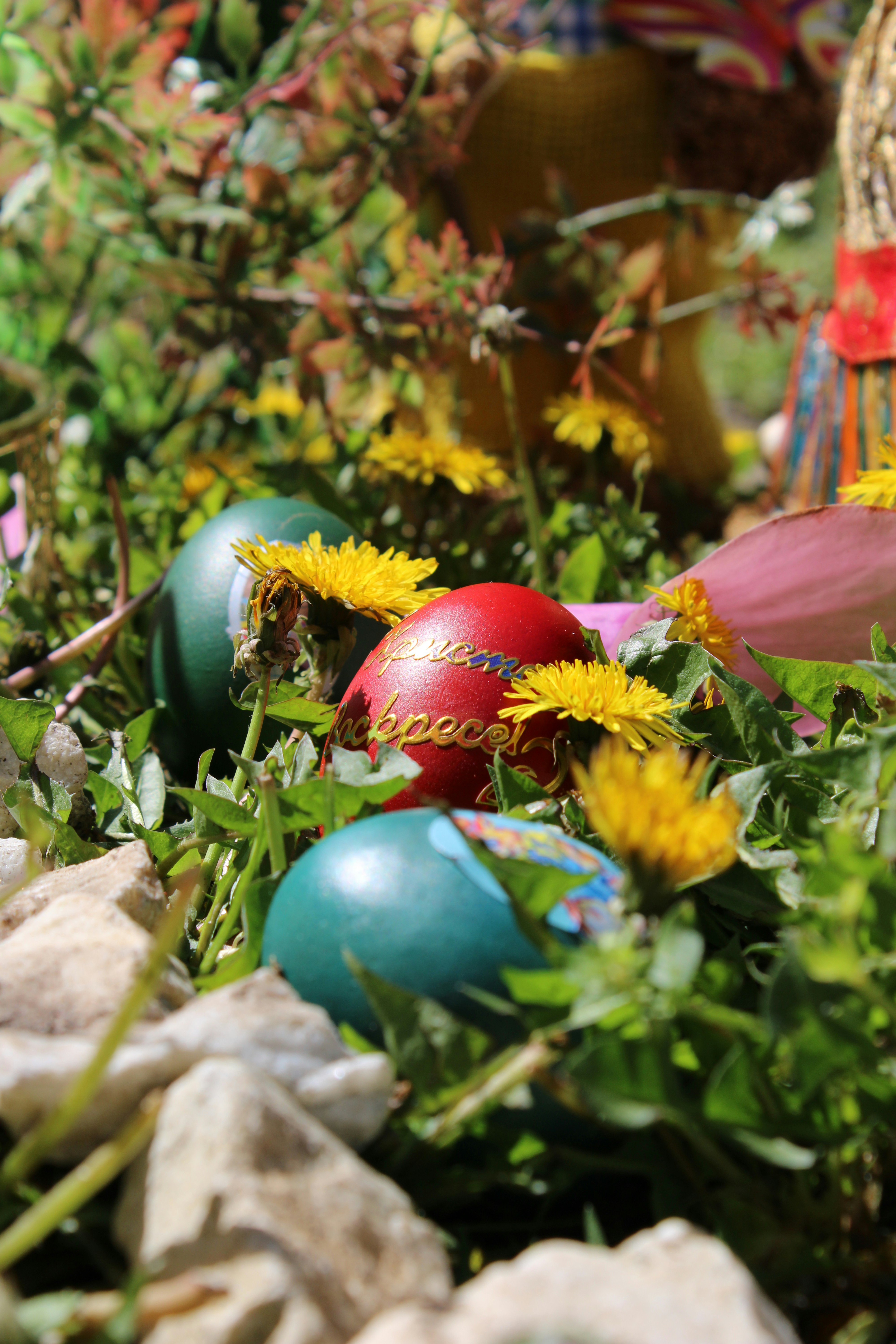 Crimson Egg Among Spring Blooms