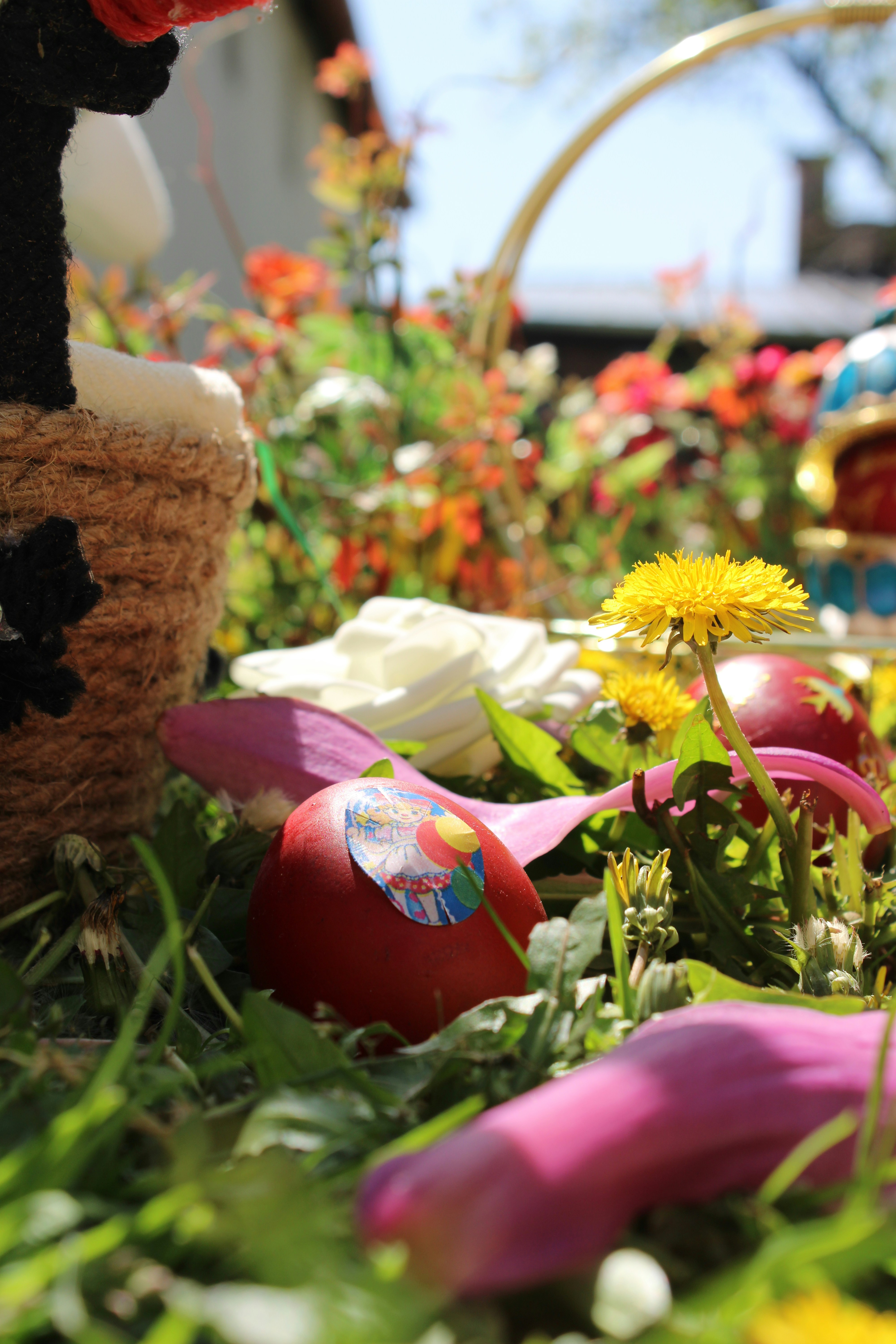 Sunlit Flower Bed with A Painted Apple Amid Colorful Garden Ornaments