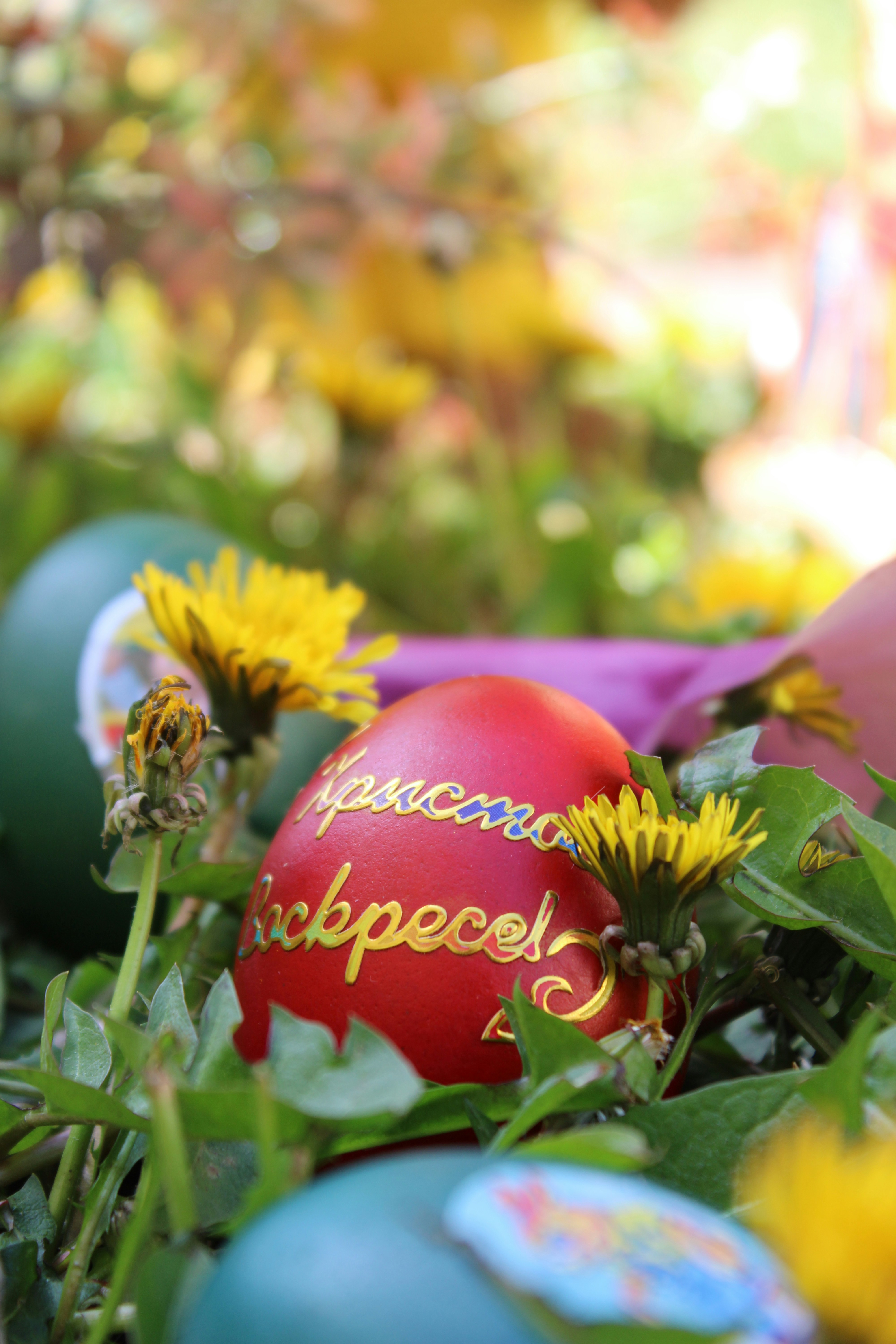 Red Easter Egg in Floral Bed with Bright Sunflower Accents