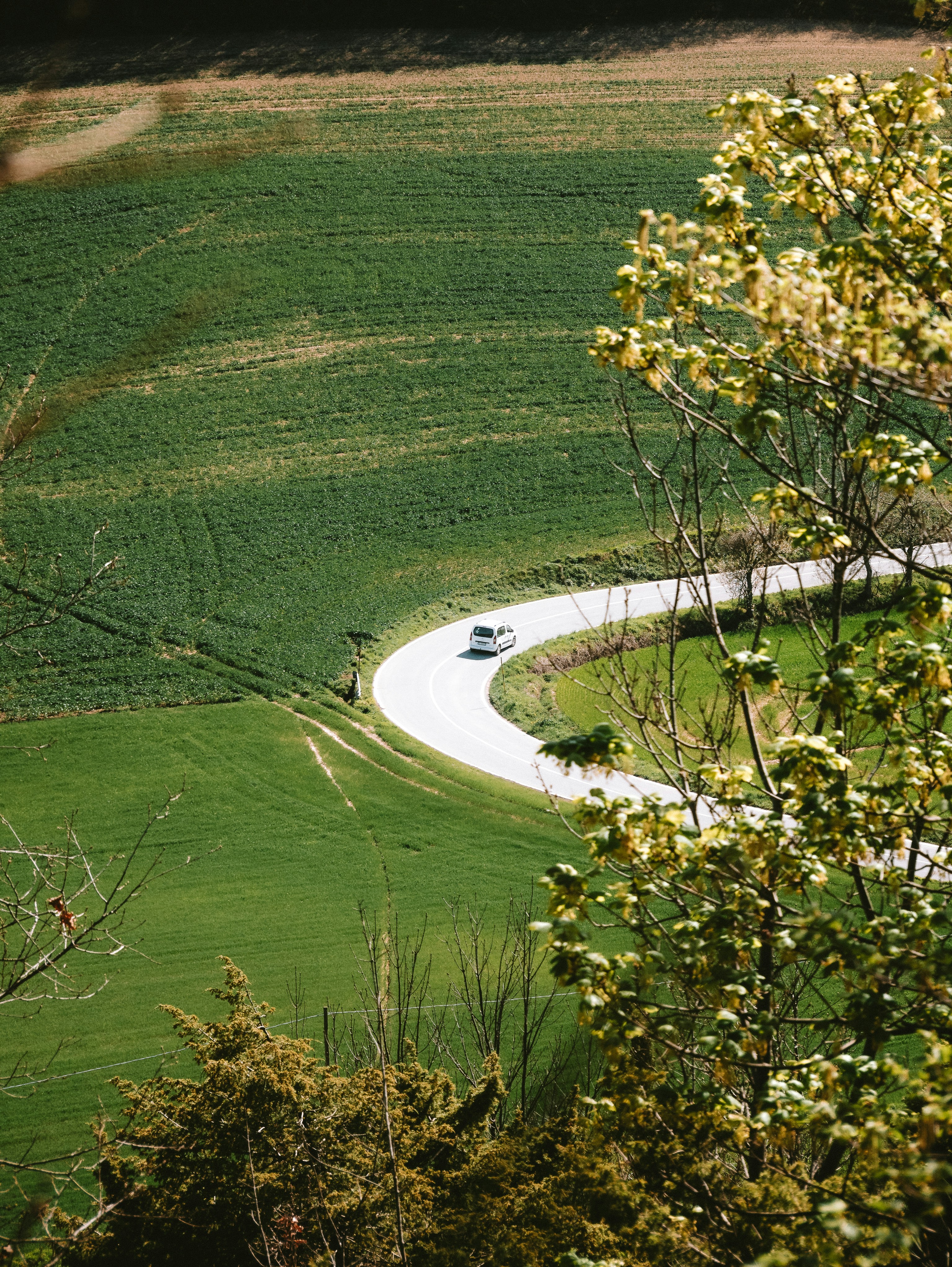 Winding White Ribbon Through Green Hills