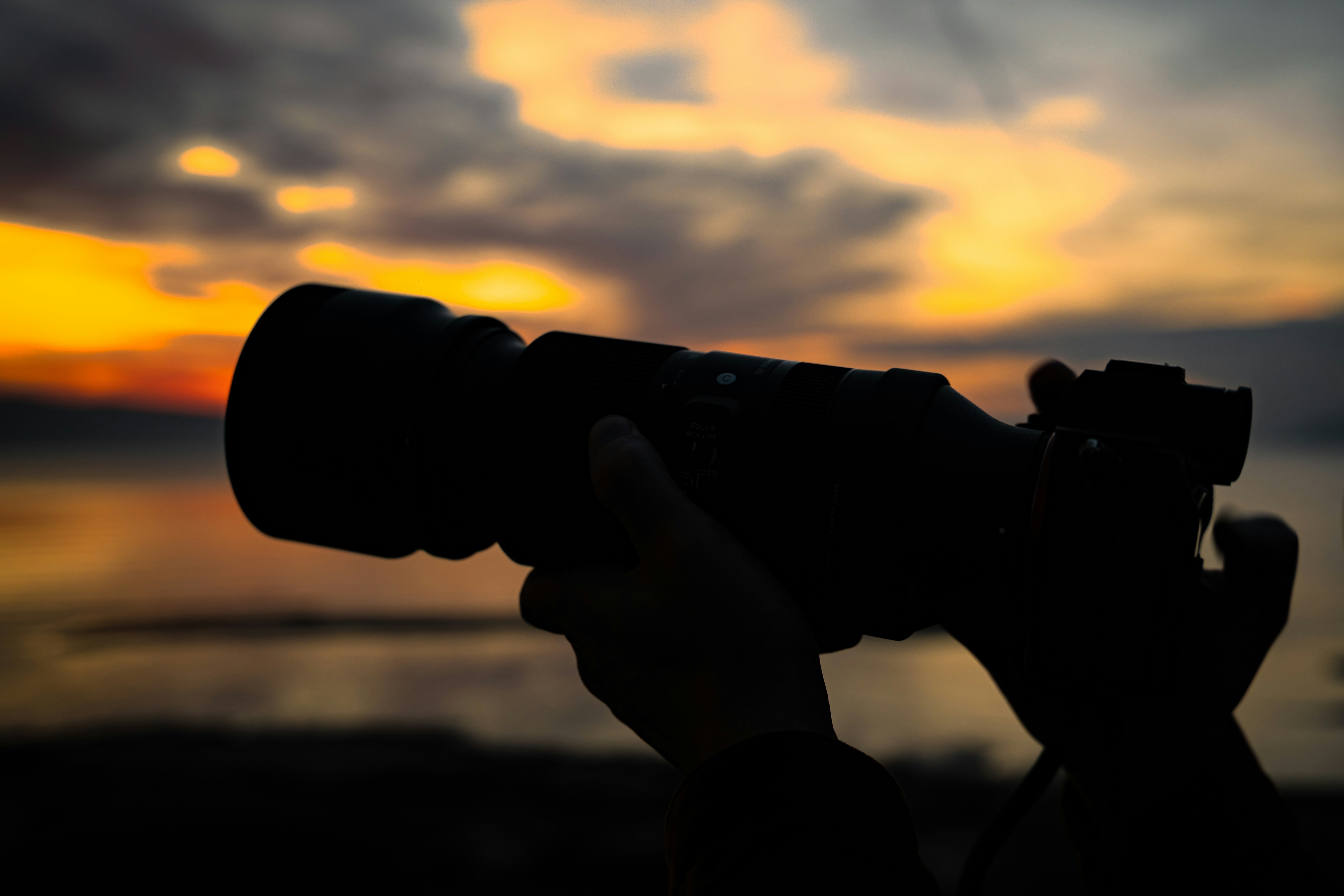 Silhouetted Telephoto Moment at Sunset