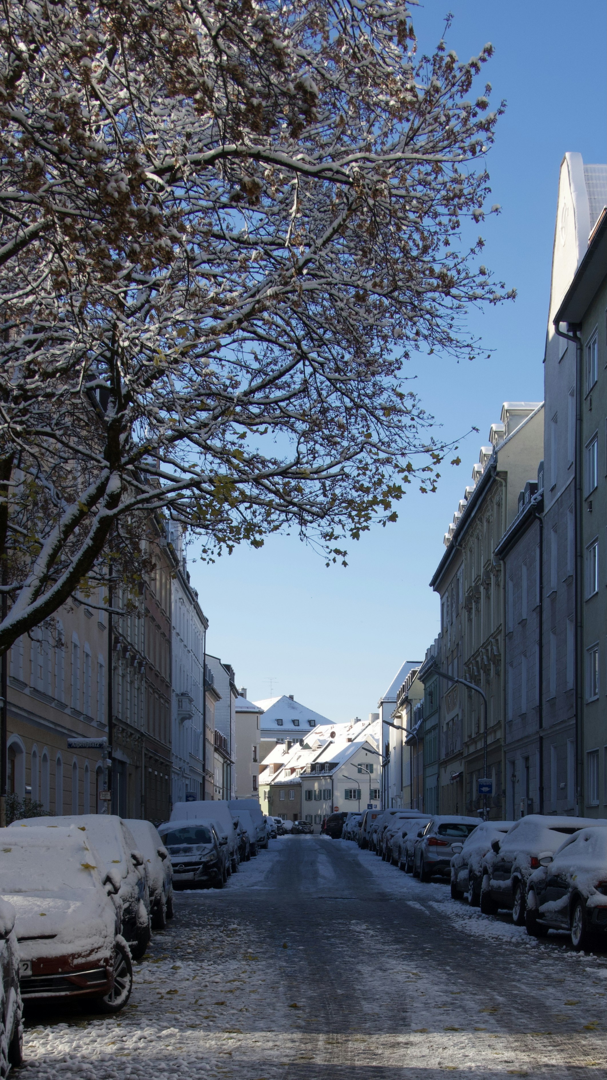 Snow-Blanketed Street Reaching Toward a Pale Blue Dawn
