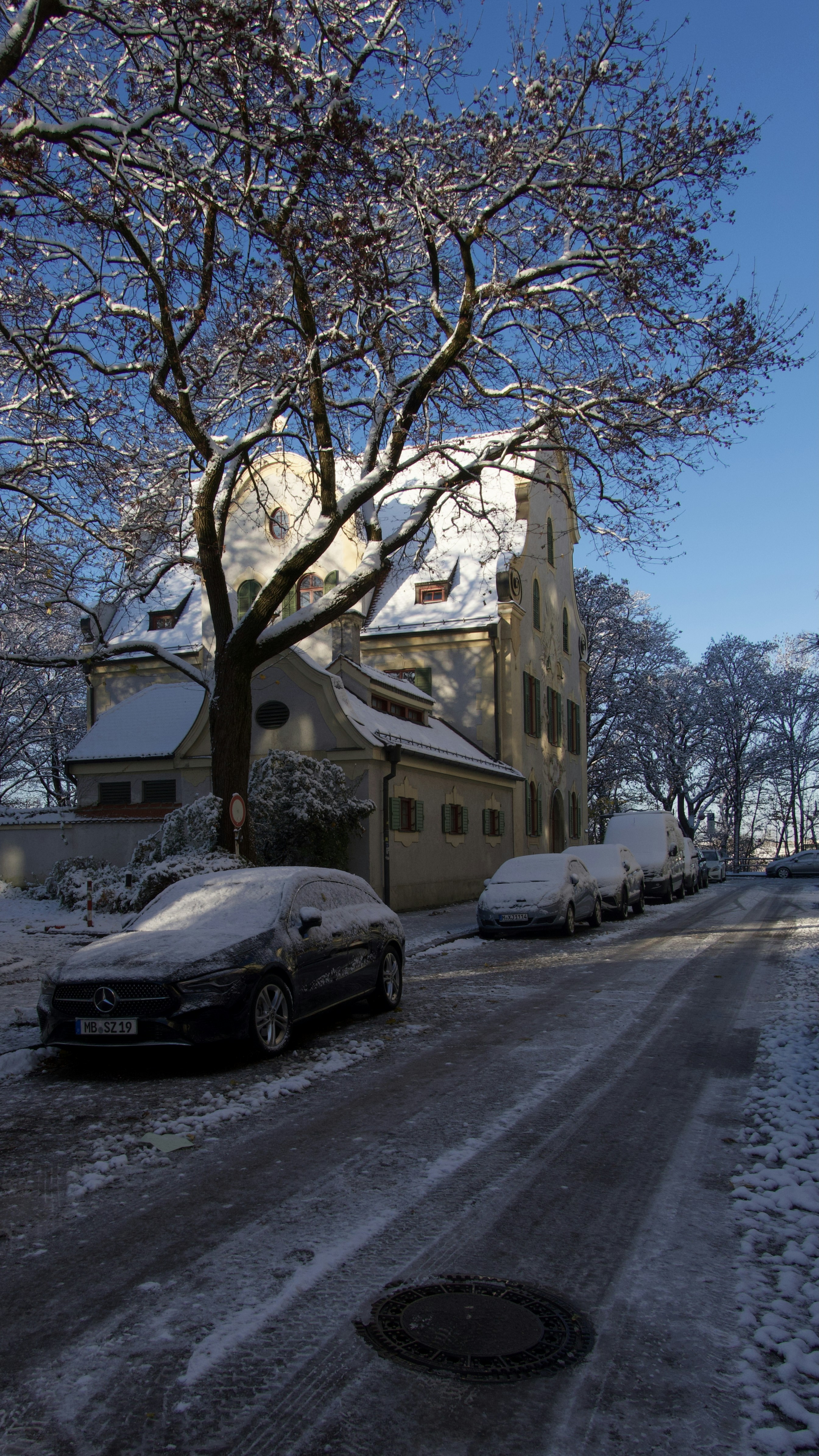 Snowy Street Portrait Under a Pruning Tree
