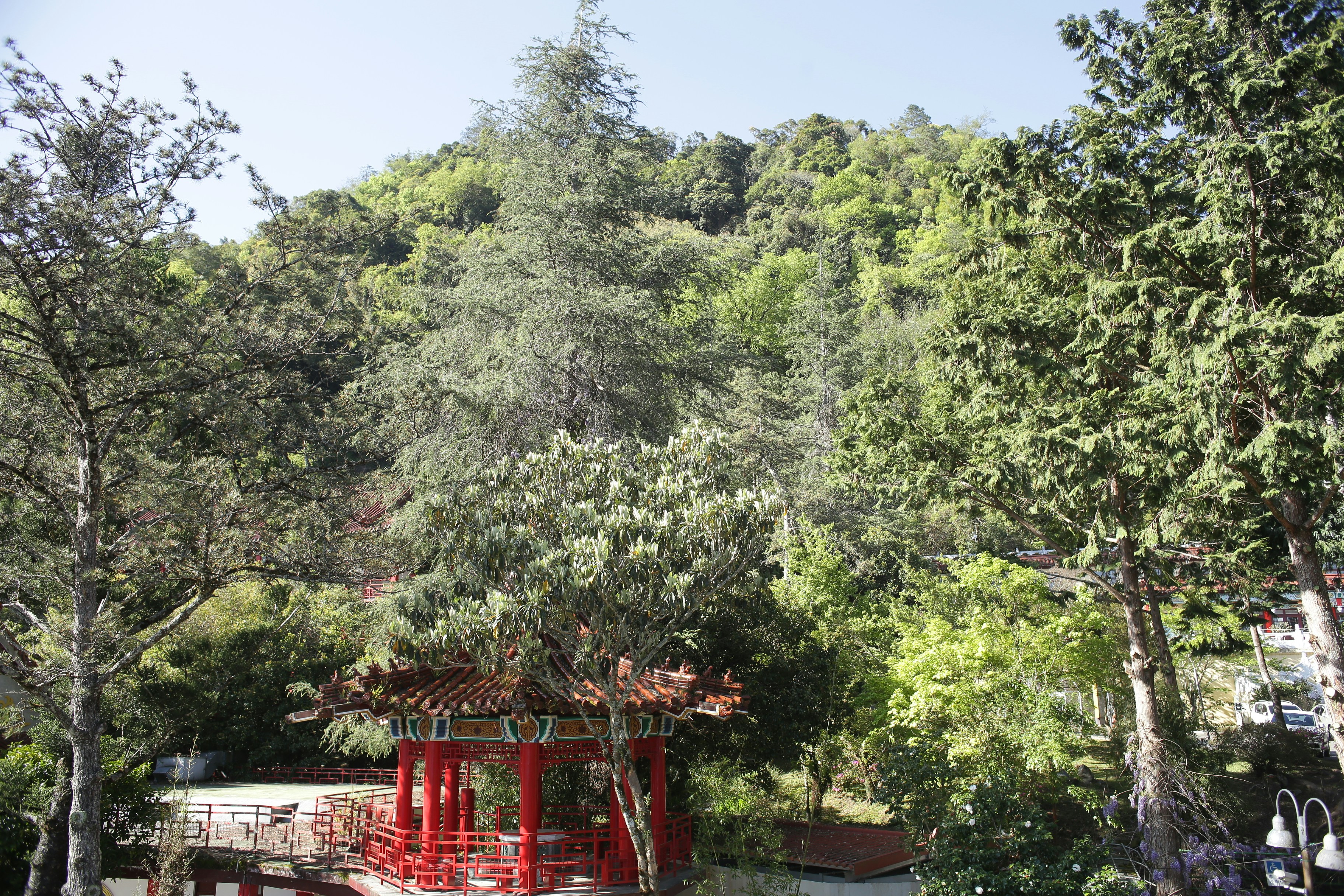 Red Pavilion Nestled Among Green Canopy