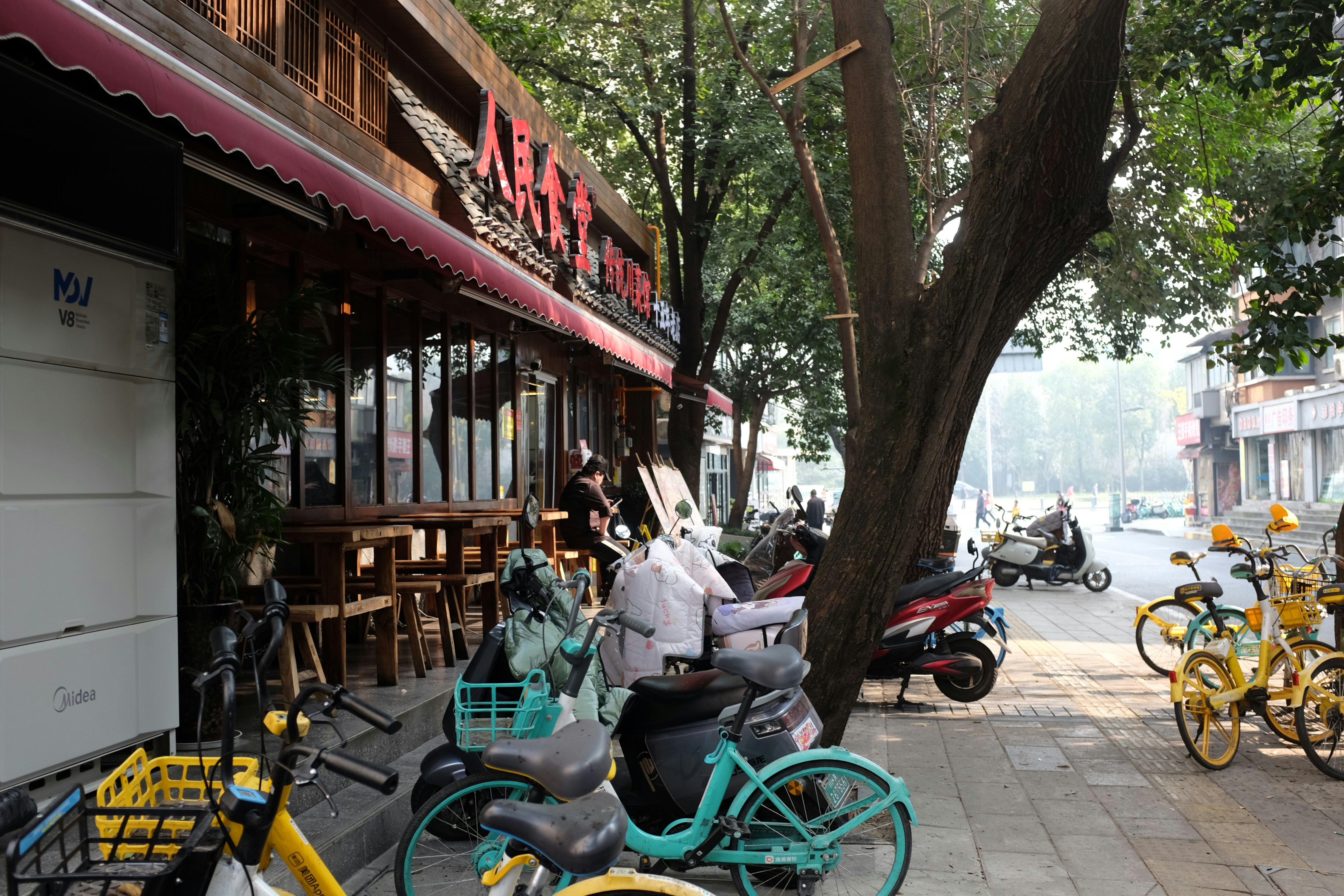 City Café Nook Under a Gnarled Tree