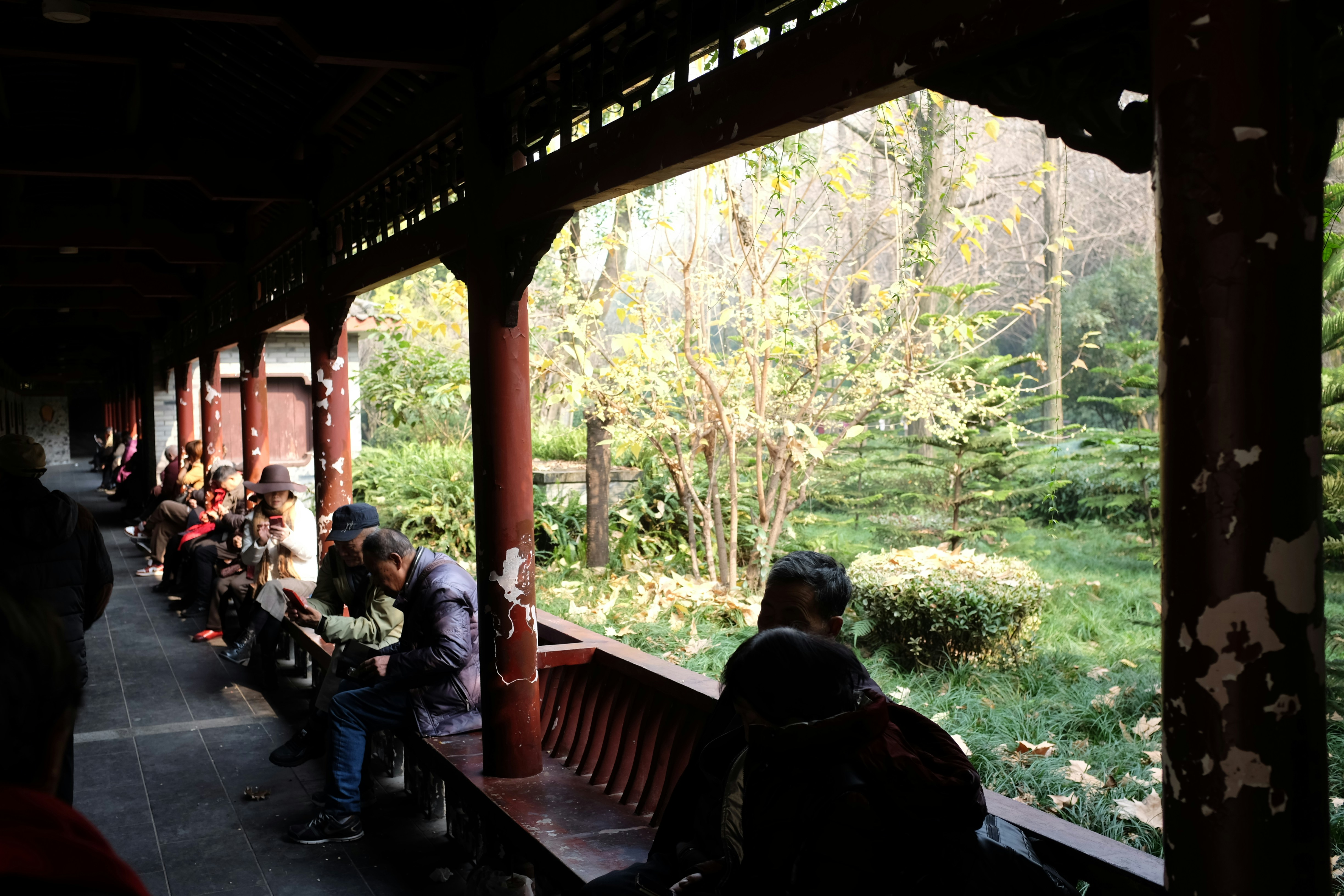 Quiet Balcony of Rain-Soaked Visitors in a Japanese Corridor Garden
