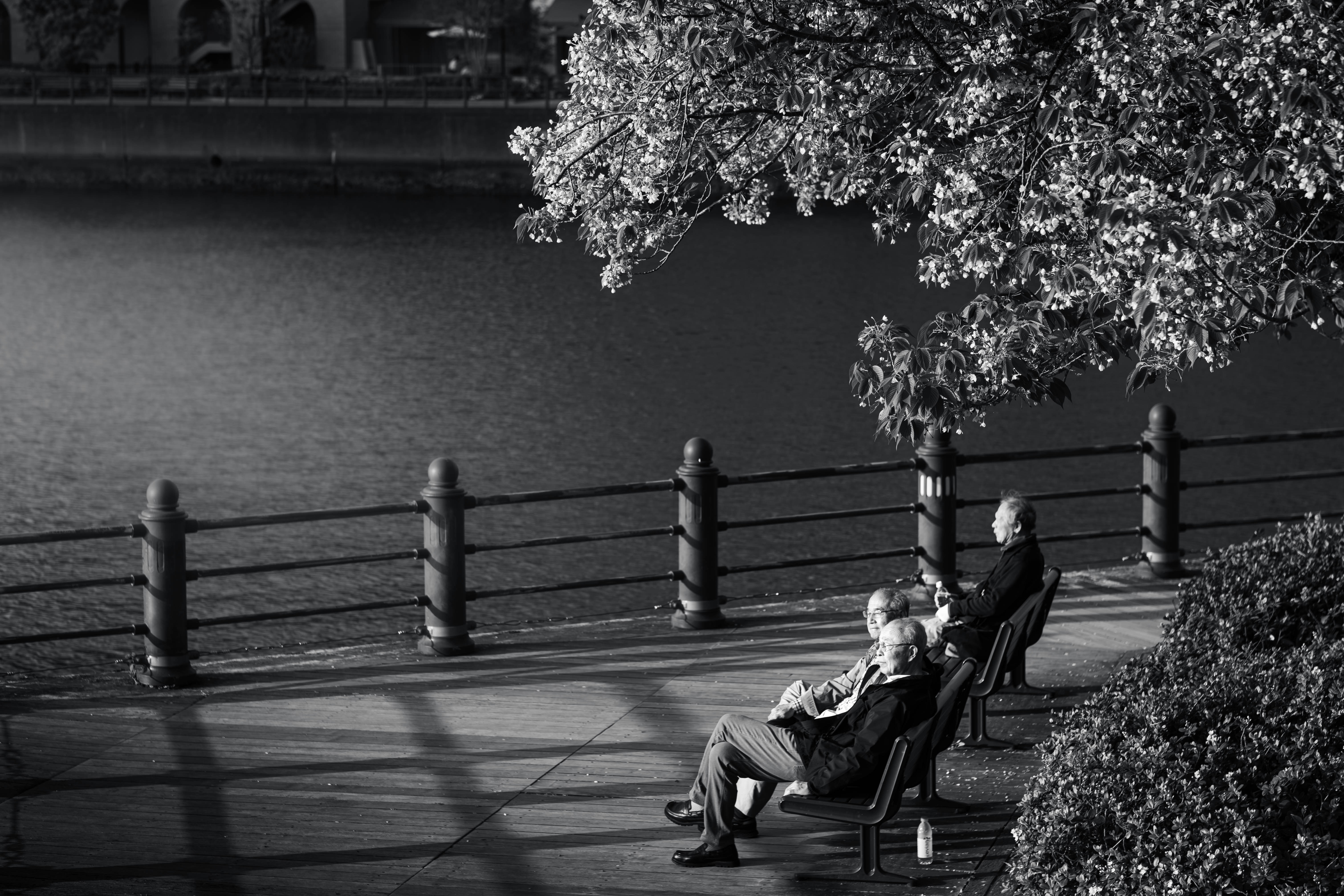 Quiet Riverside Respite: A Moment of Pause on the Bench